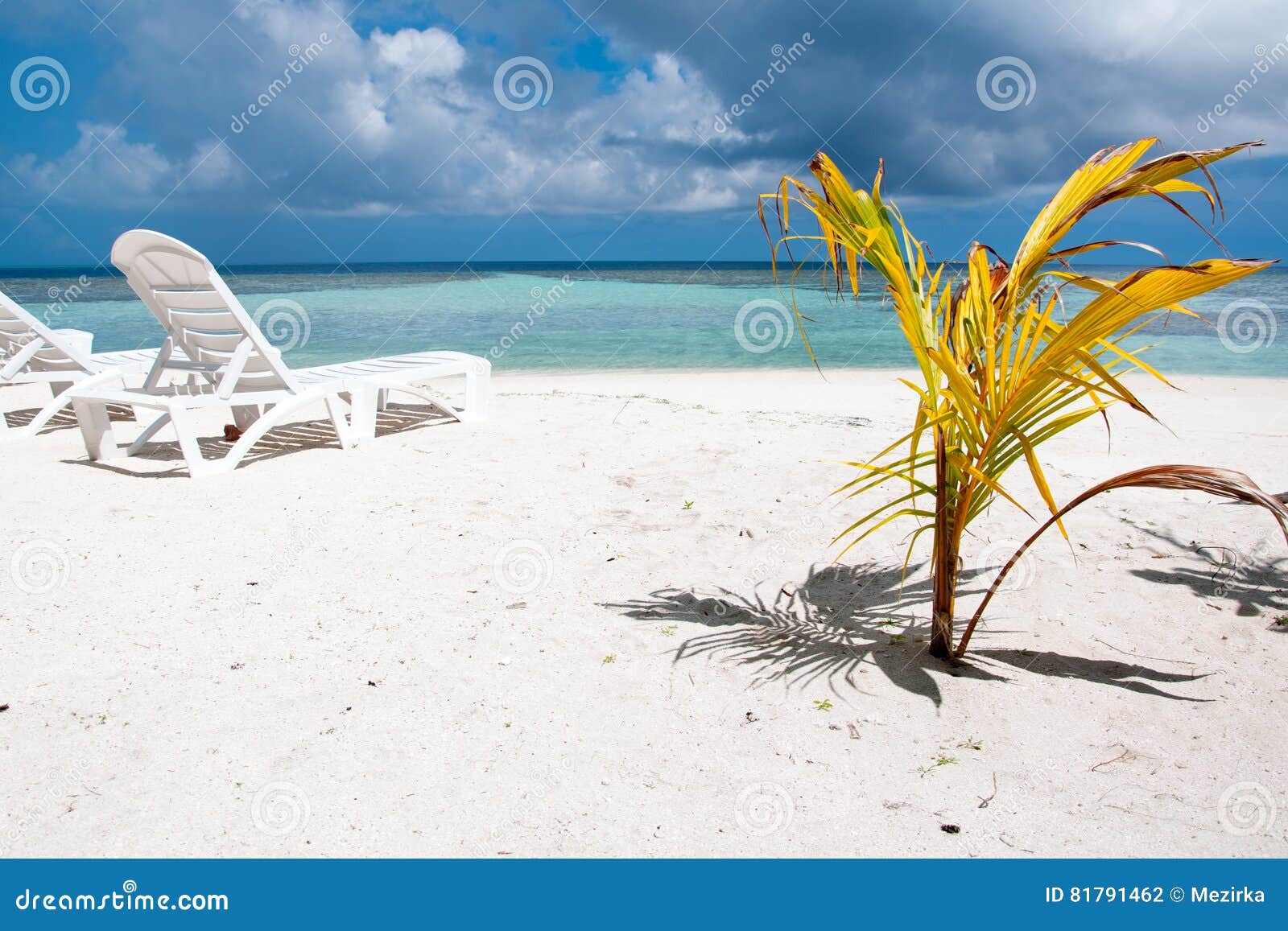 Sunbed am Tropischen Strand, Malediven Stockfoto - Bild von palme ...