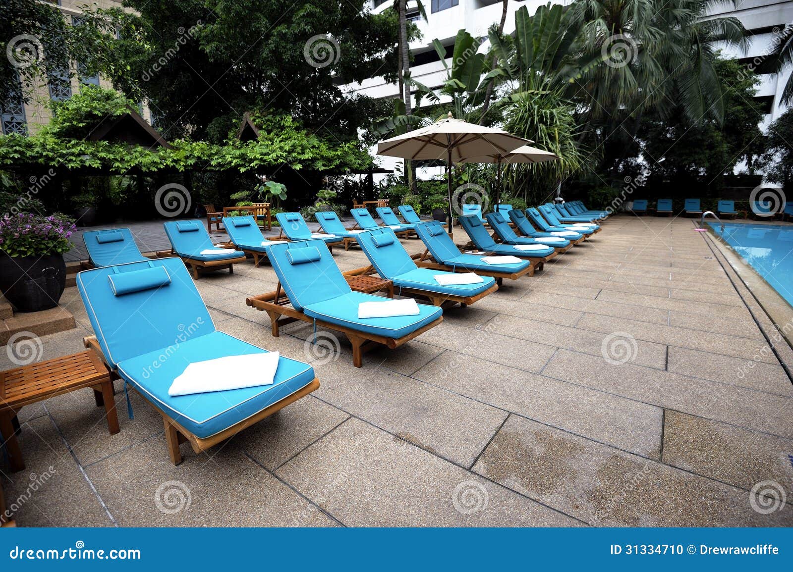 Sunbeds stock photo. Image of blue, seats, trees, table - 31334710