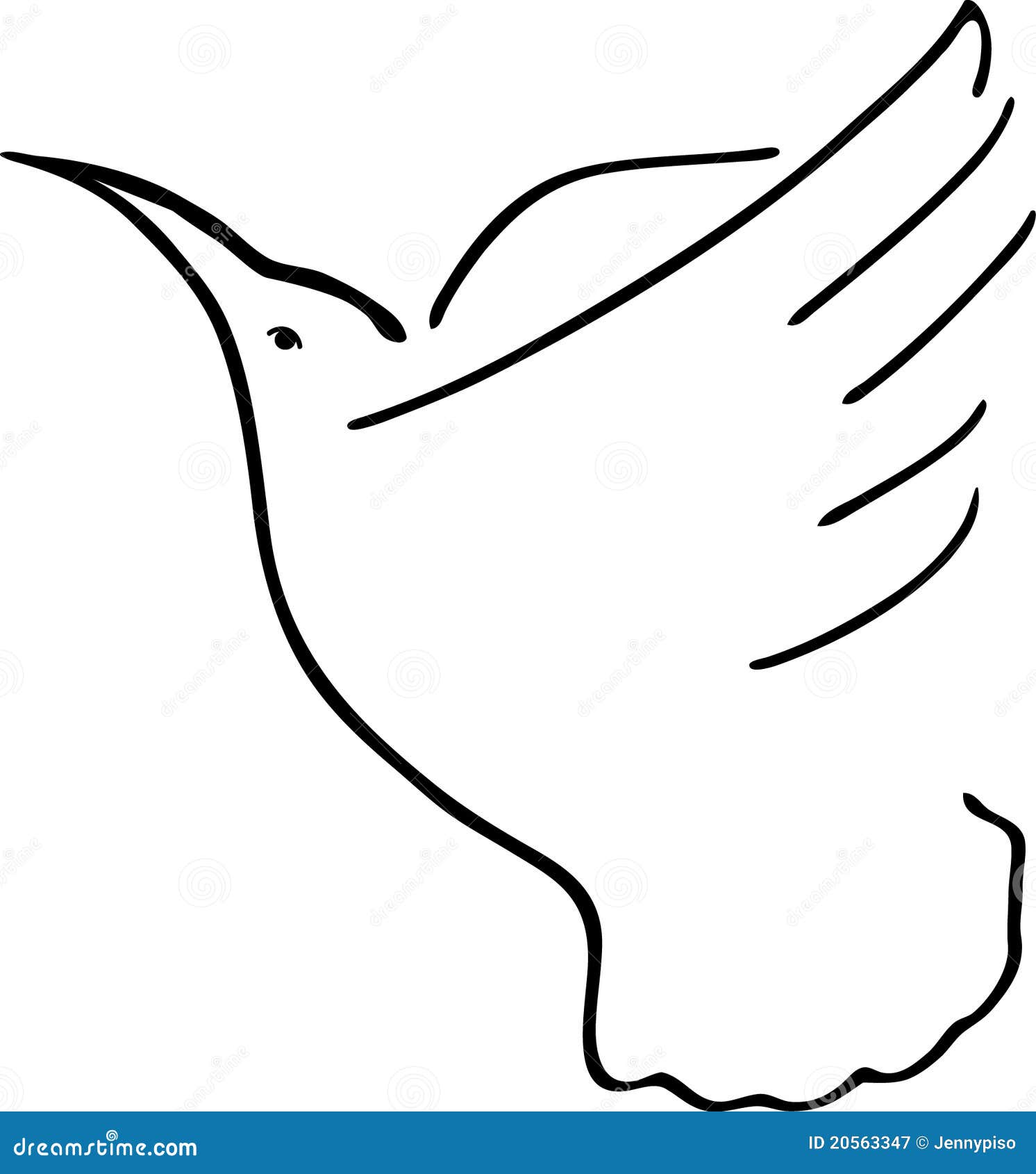 Sunbird | Hummingbird stock vector. Illustration of calibri - 20563347