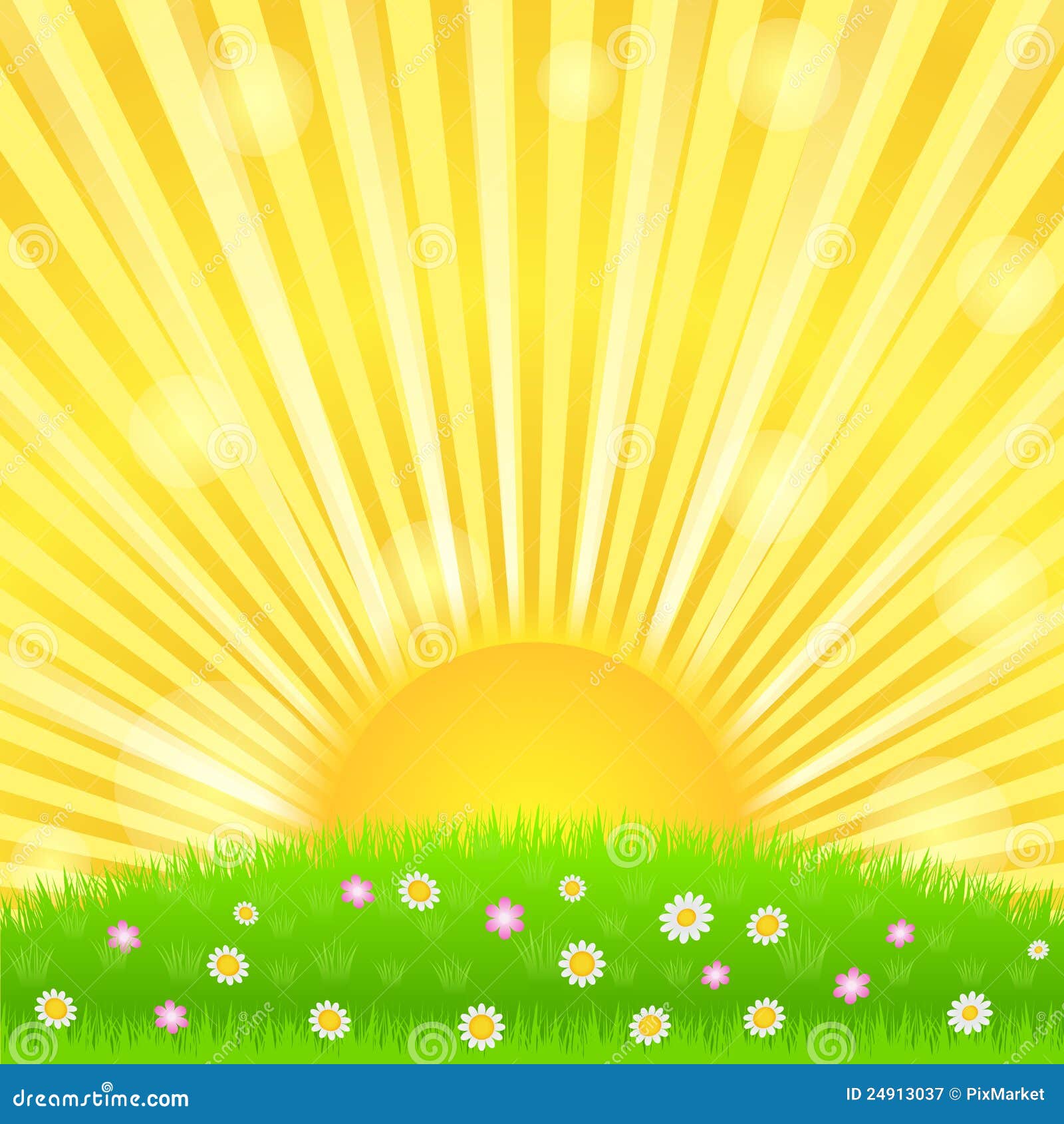 Sunburst stock vector. Illustration of flare, starburst - 24913037