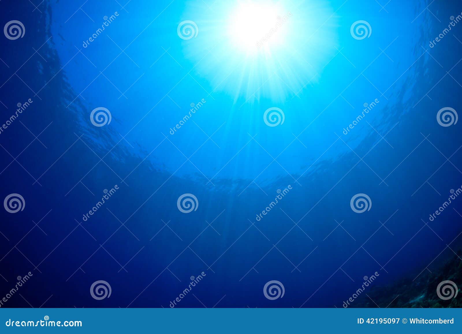 Sunburst and Bubbles on the Ocean Surface Stock Image - Image of fish ...