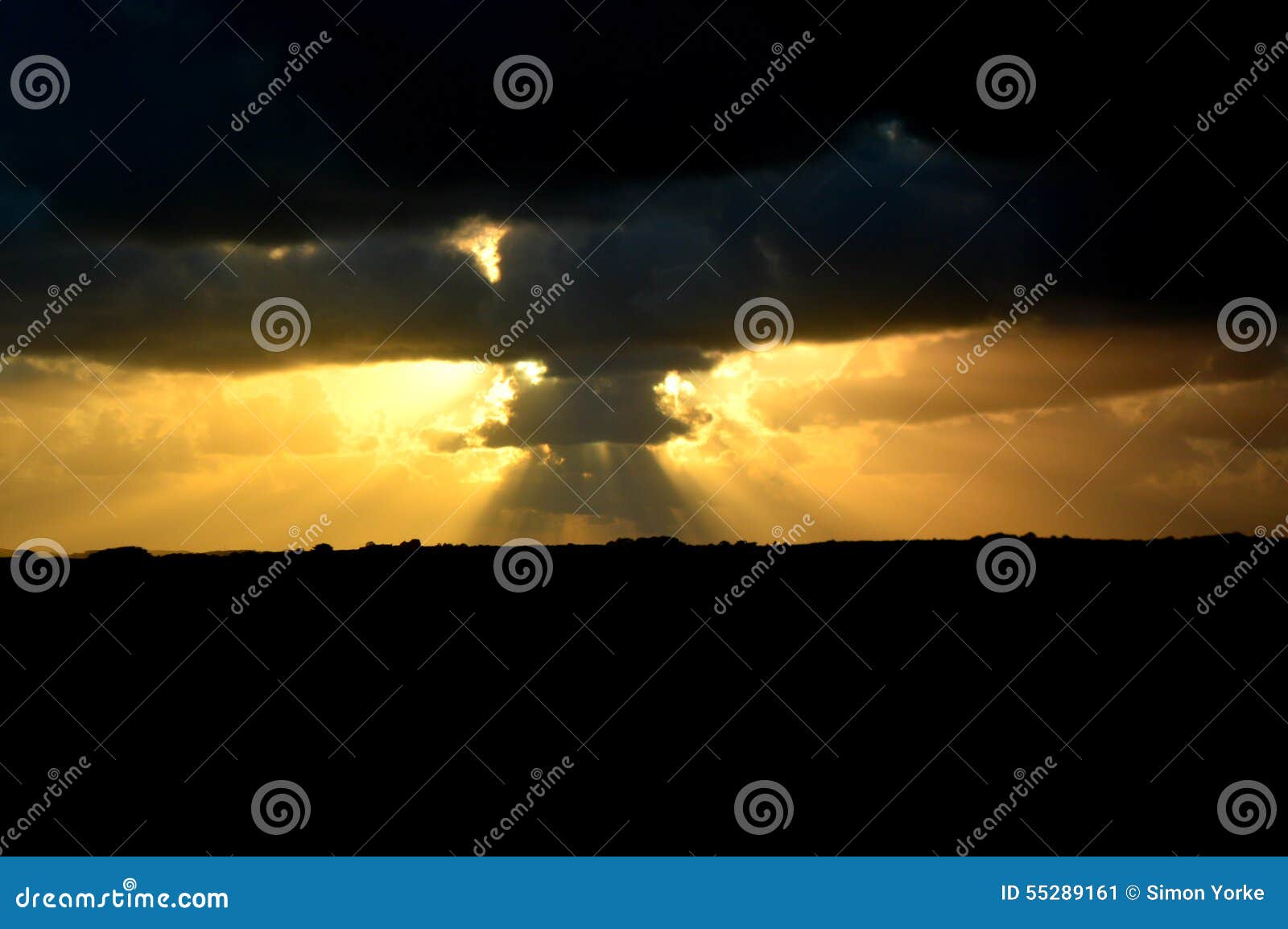 Sunburst stock image. Image of wild, bursting, sunburst - 55289161