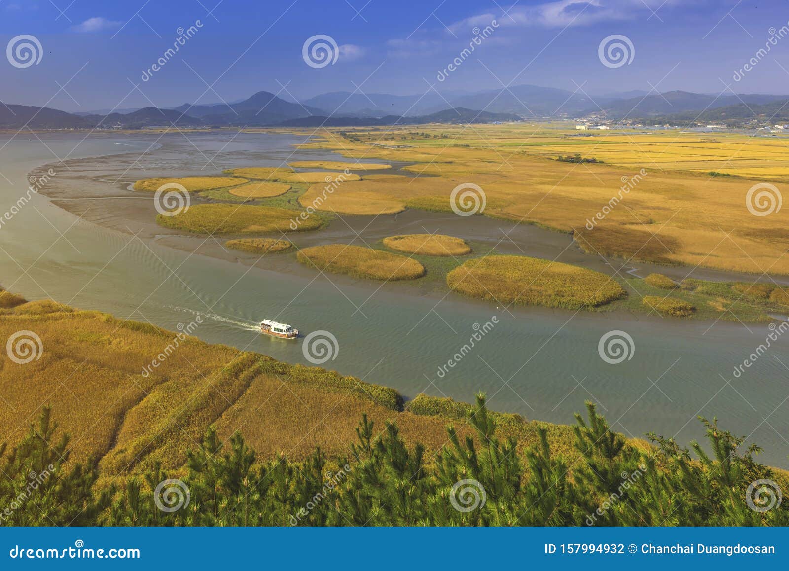 Suncheon Bay Ecological Park in South Korea Stock Photo - Image of ...