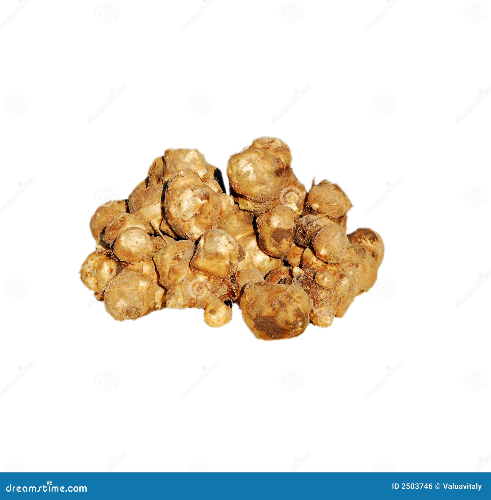 112 Sunchokes Photos - Free & Royalty-Free Stock Photos from Dreamstime