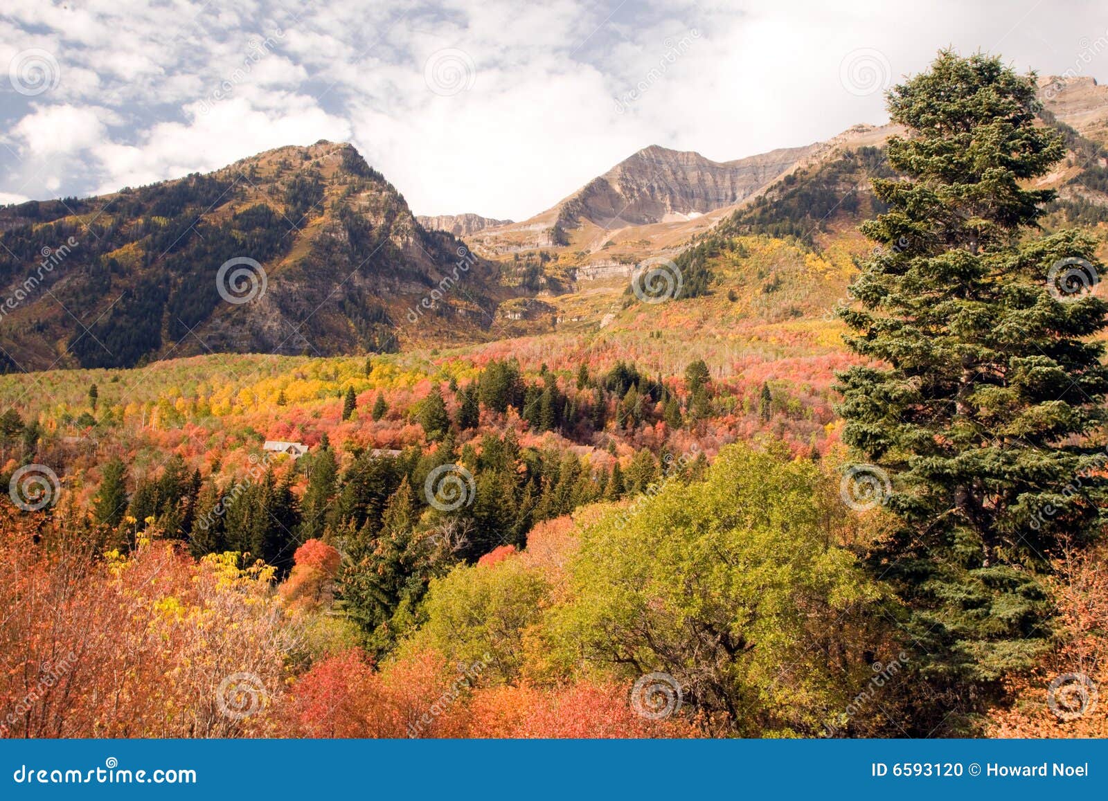 Sundance autumn scenery stock photo. Image of wood, picturesque - 6593120
