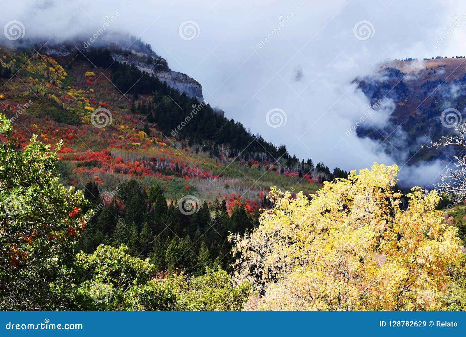 Sundance Mountain Resort. Beautiful Tree Fall Colors. Stock Image ...