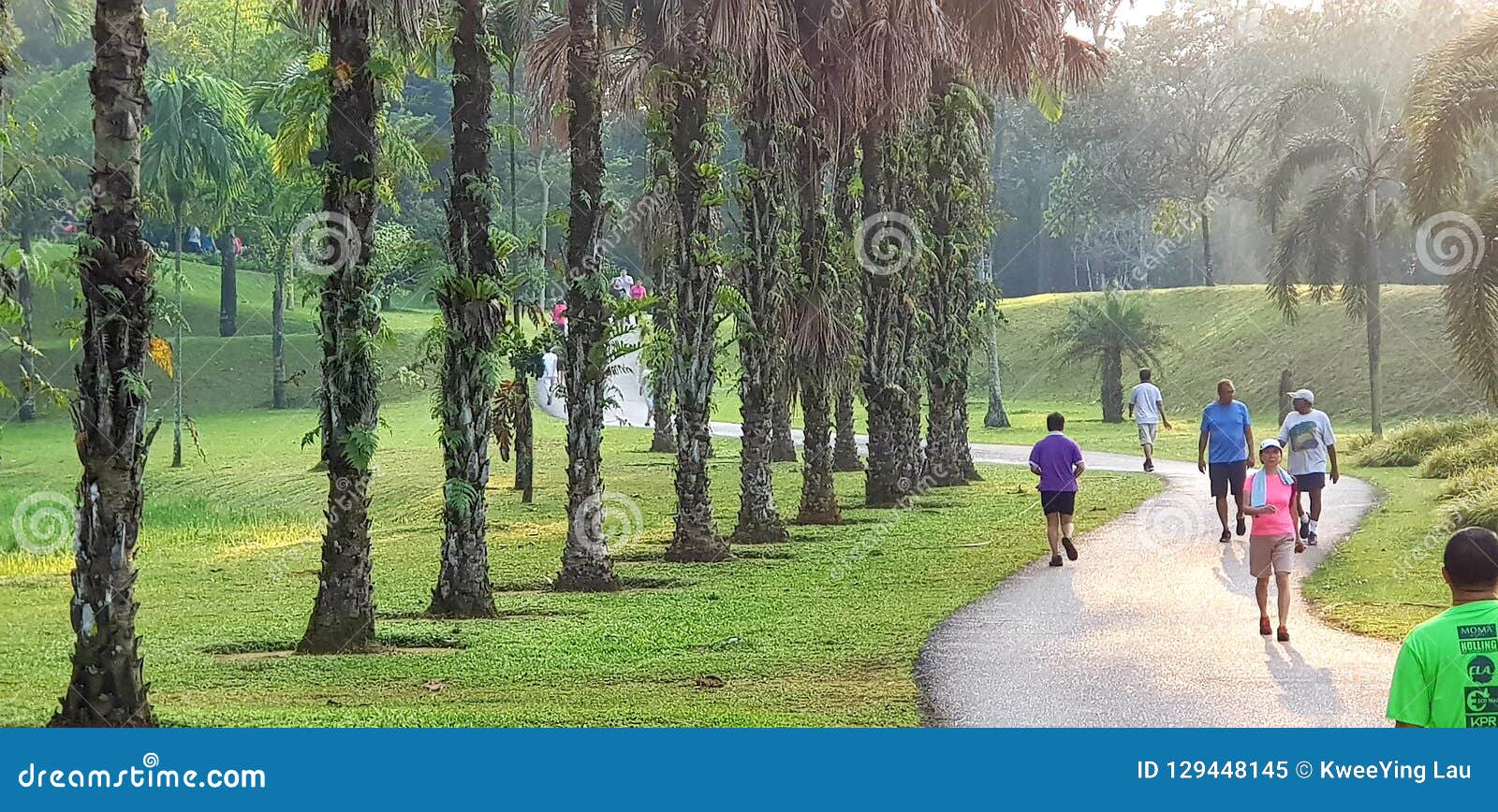 Morning Exercise, Walk at the Botanic Garden a Popular Attraction at ...