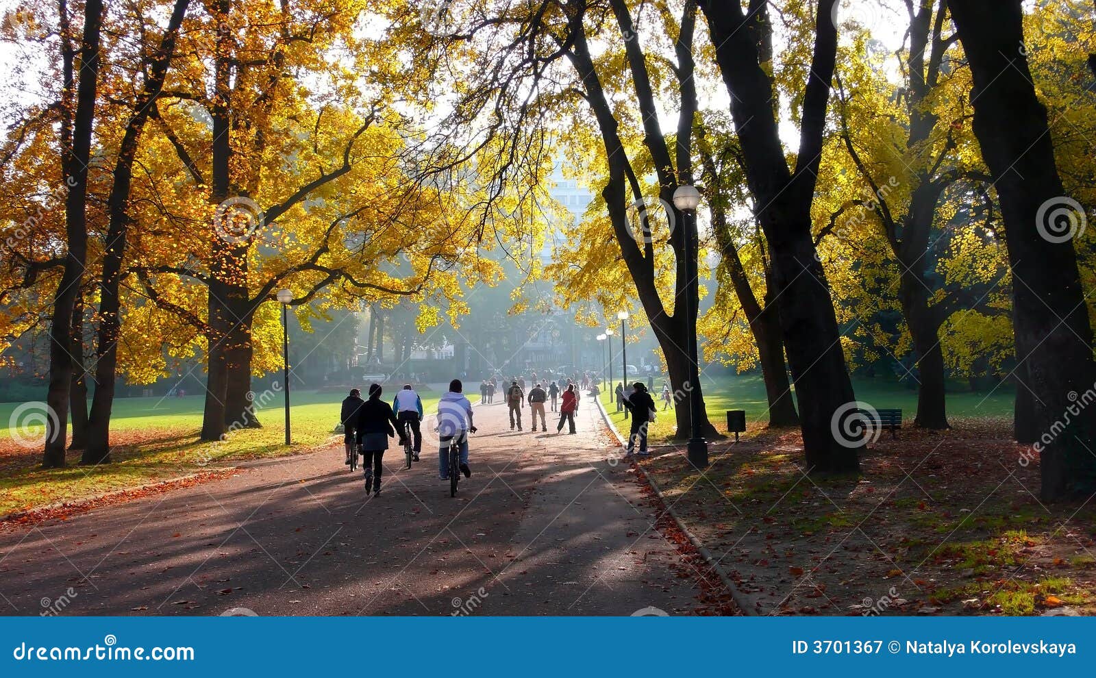 Sunday outing in the park stock image. Image of health - 3701367