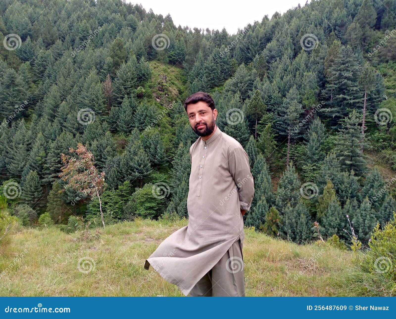 Sunday at shaboora top stock image. Image of lawn, spring - 256487609