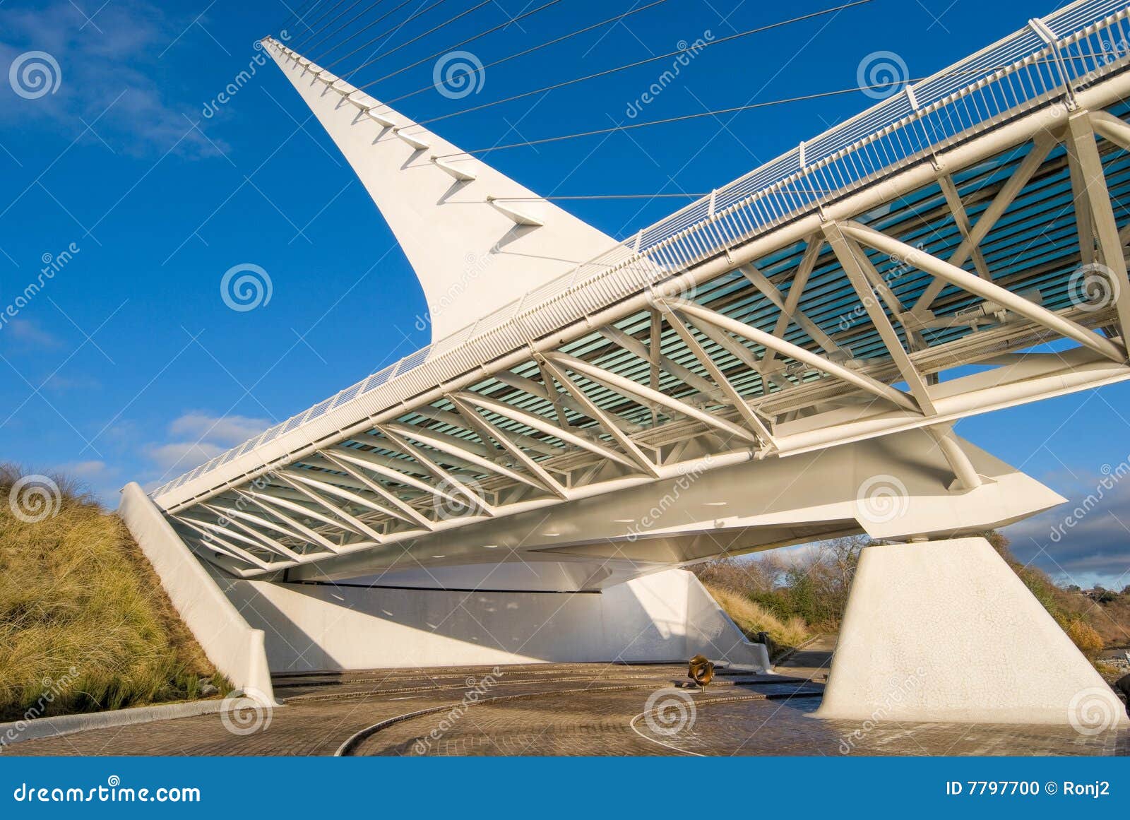 Sundial Bridge 200 editorial image. Image of spot, turtle - 7797700