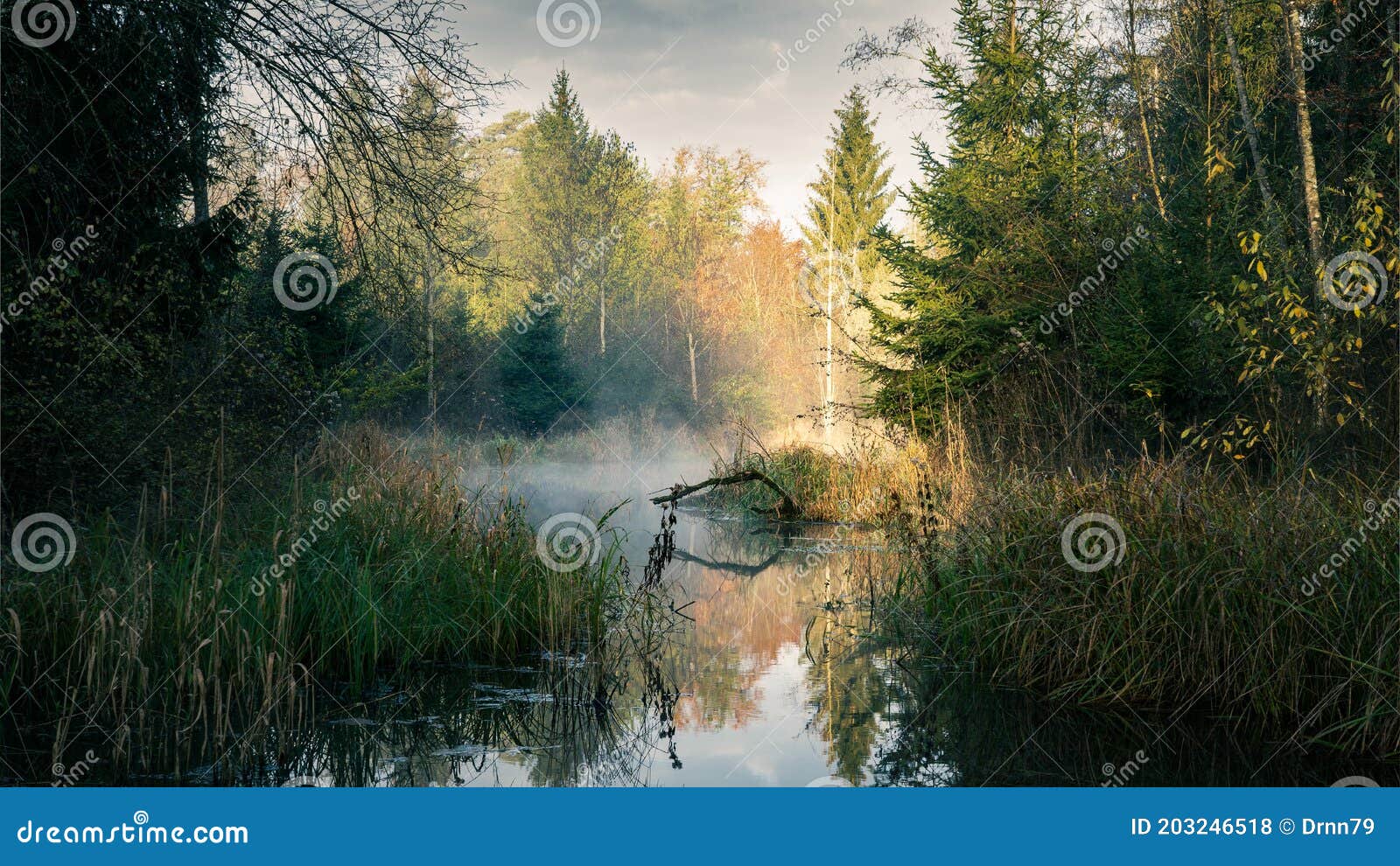 Sundise Over the River in a Foggy Forest Stock Photo - Image of fishing ...