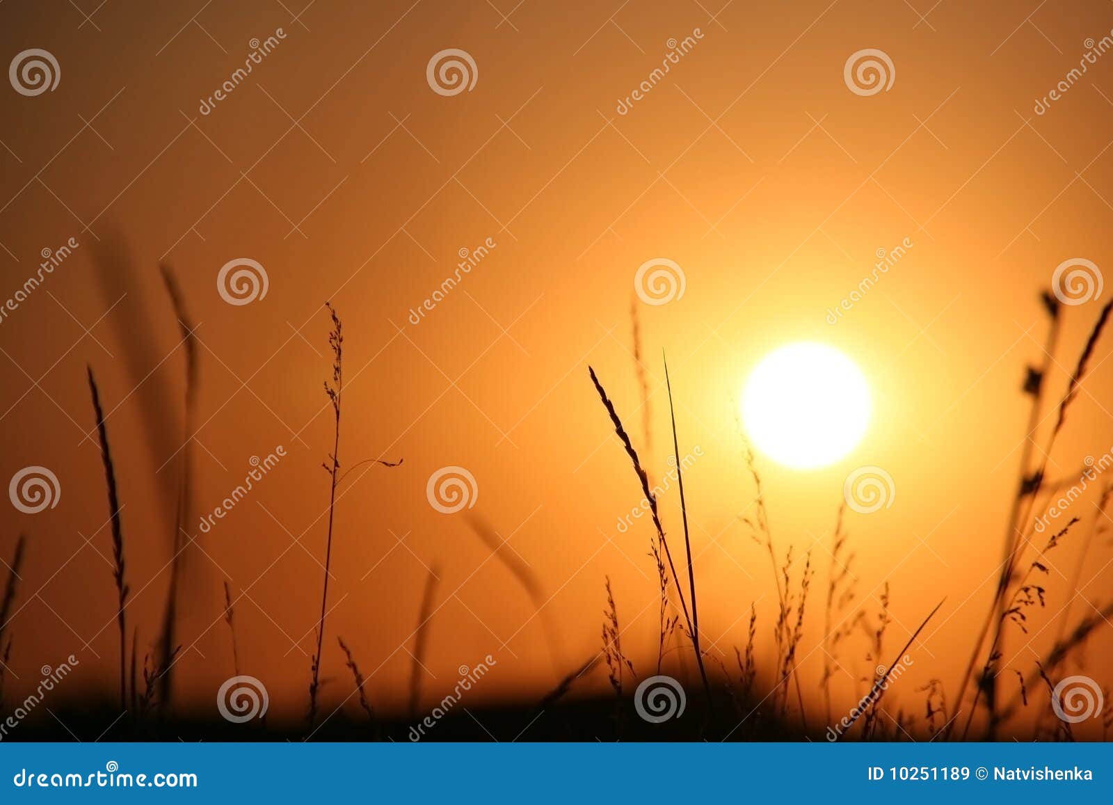 The Sundown. stock image. Image of journey, horizon, backgrounds - 10251189