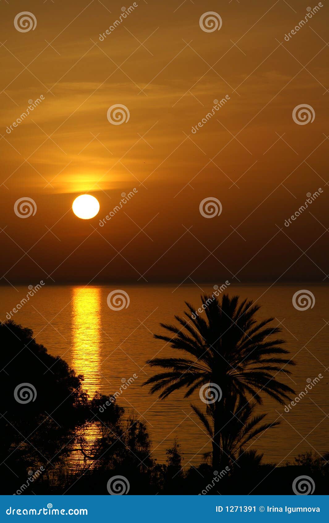 The sundown; stock image. Image of coast, africa, dawning - 1271391