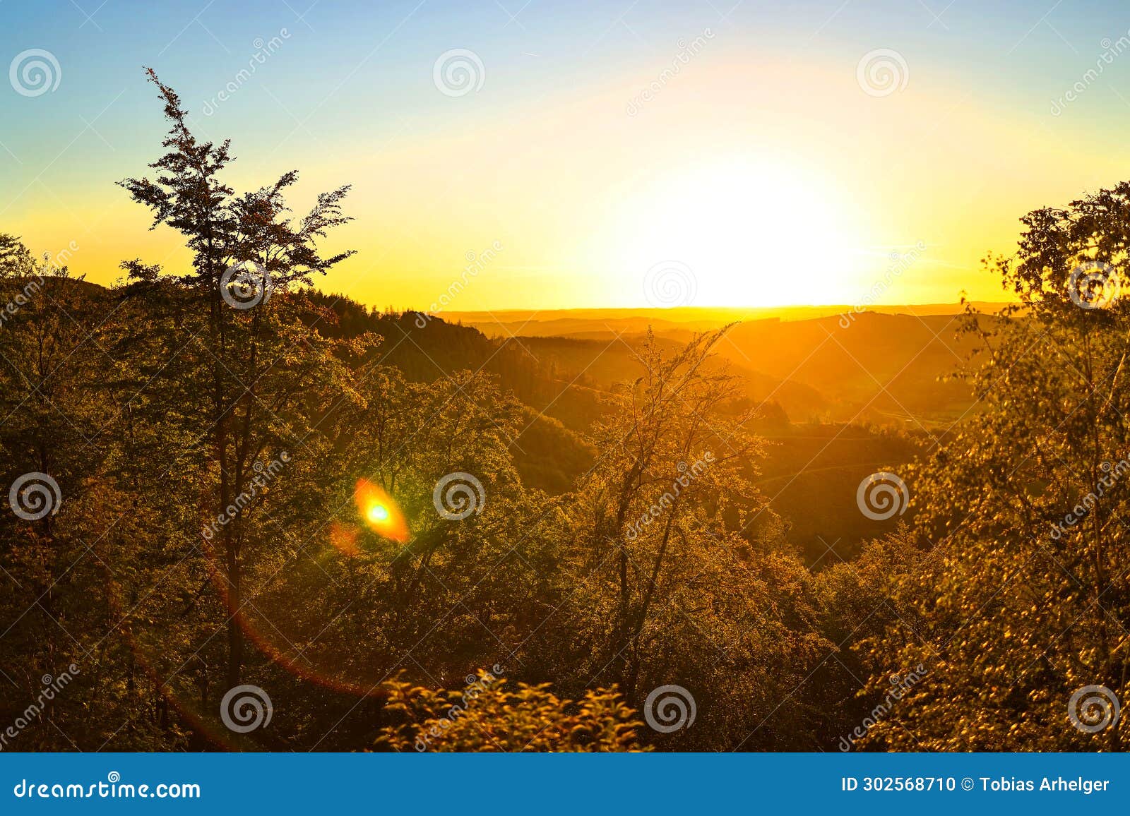 Sundown in a Beautiful Forest Countryside Stock Photo - Image of ...