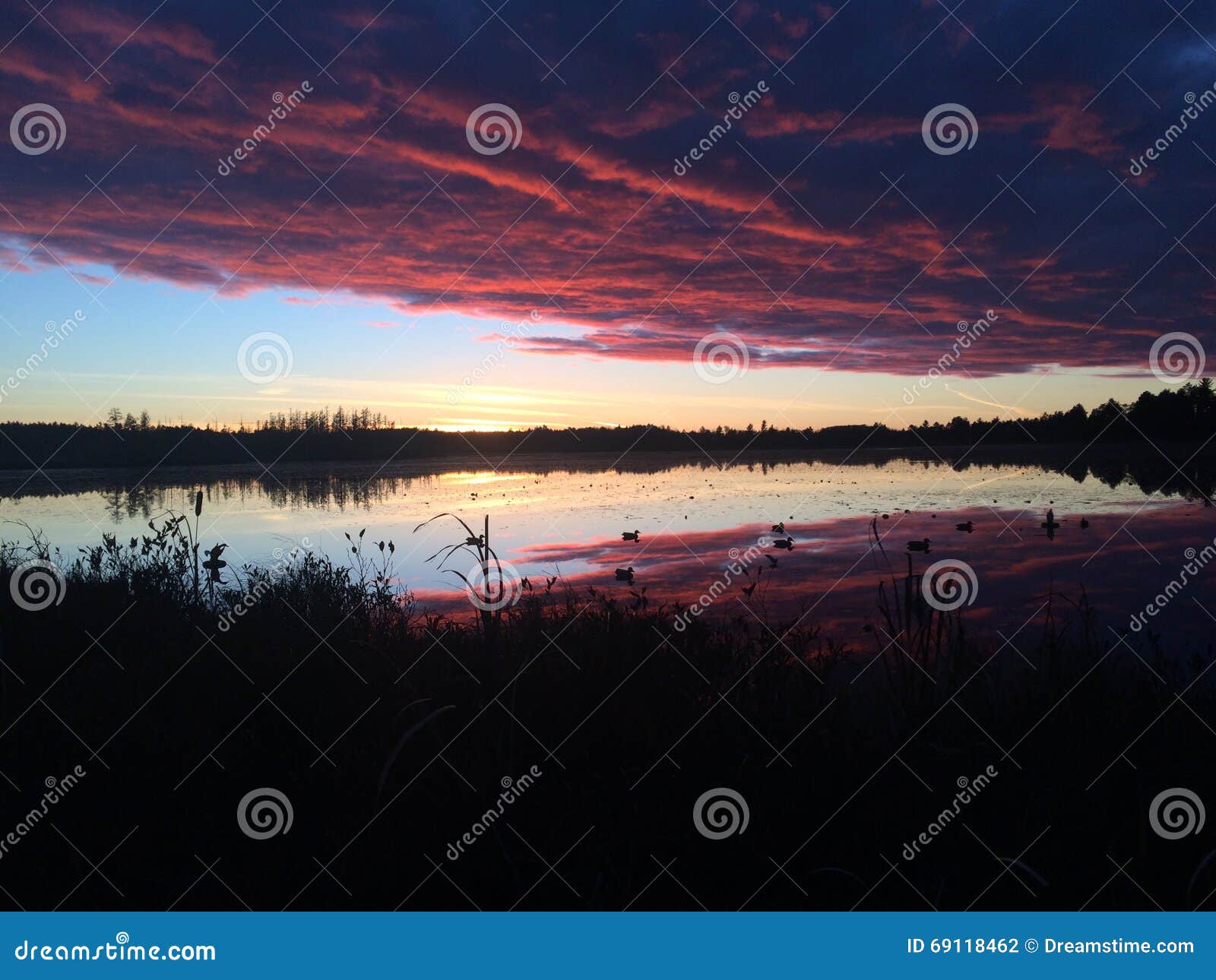 Sundown Hunt stock photo. Image of hunt, decoys, duck - 69118462