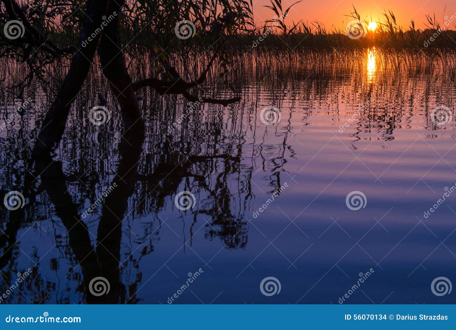 Sundown lake stock photo. Image of lake, scenic, idyllic - 56070134