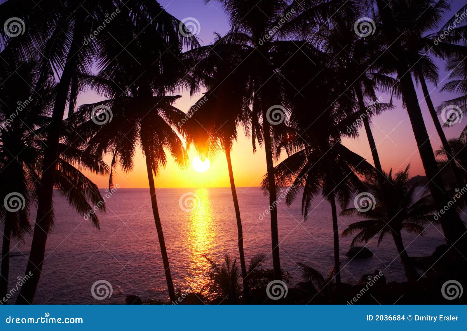 Sundown and palms stock photo. Image of palm, cruise, lounge - 2036684
