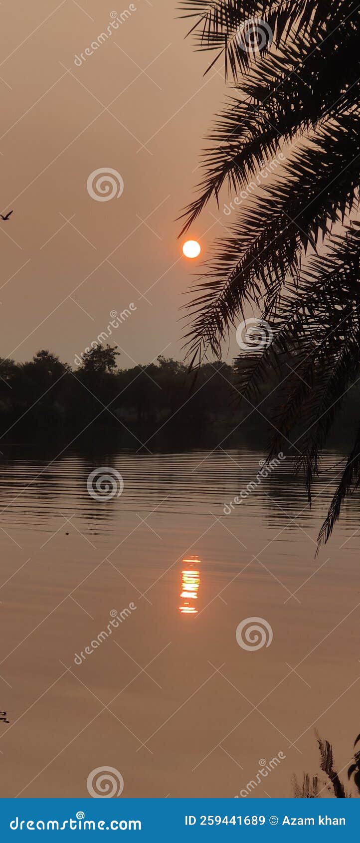 Sundowner stock image. Image of sundowner, lake, beautiful - 259441689