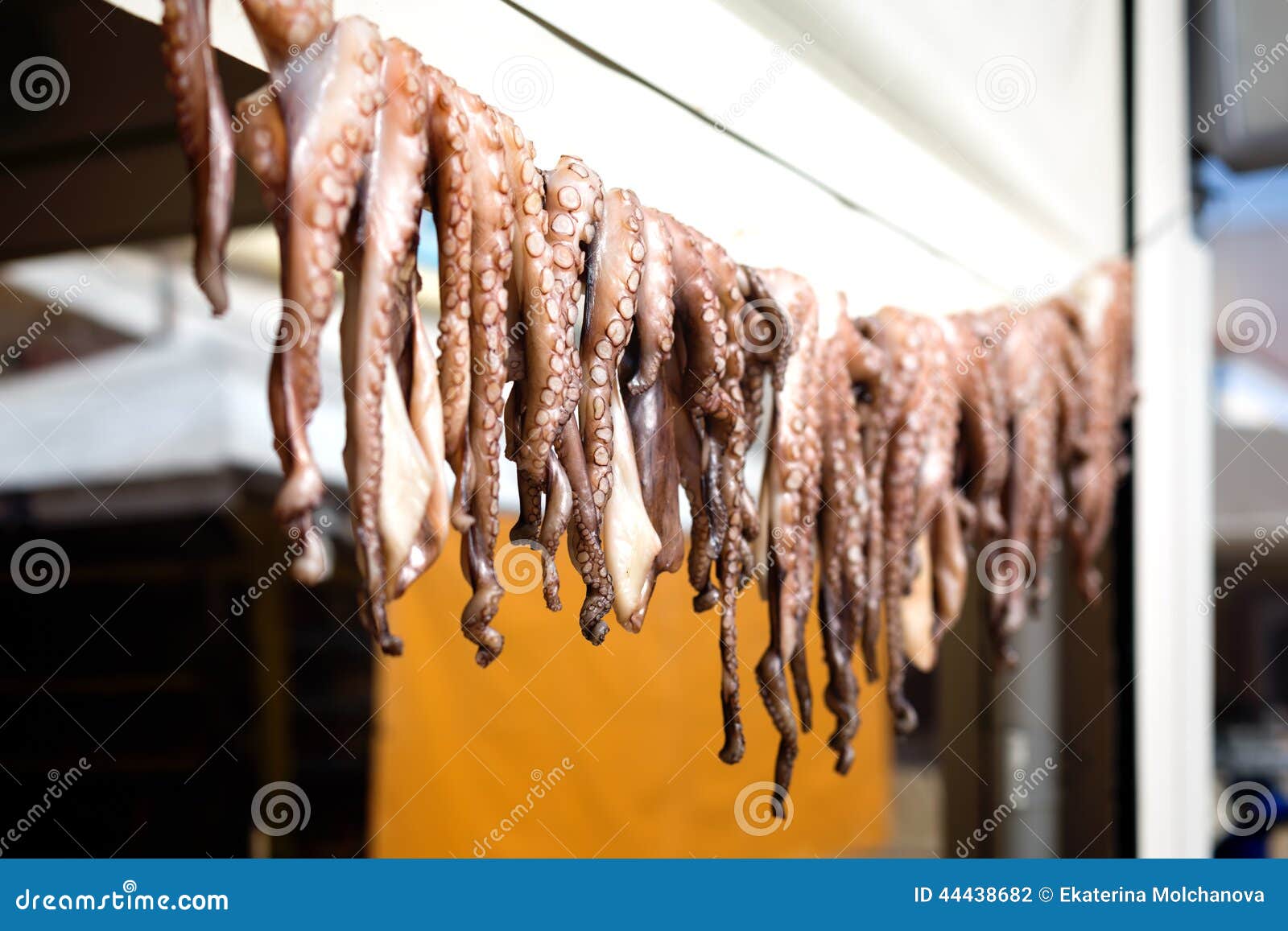 Sundry octopus stock photo. Image of greece, freshness - 44438682