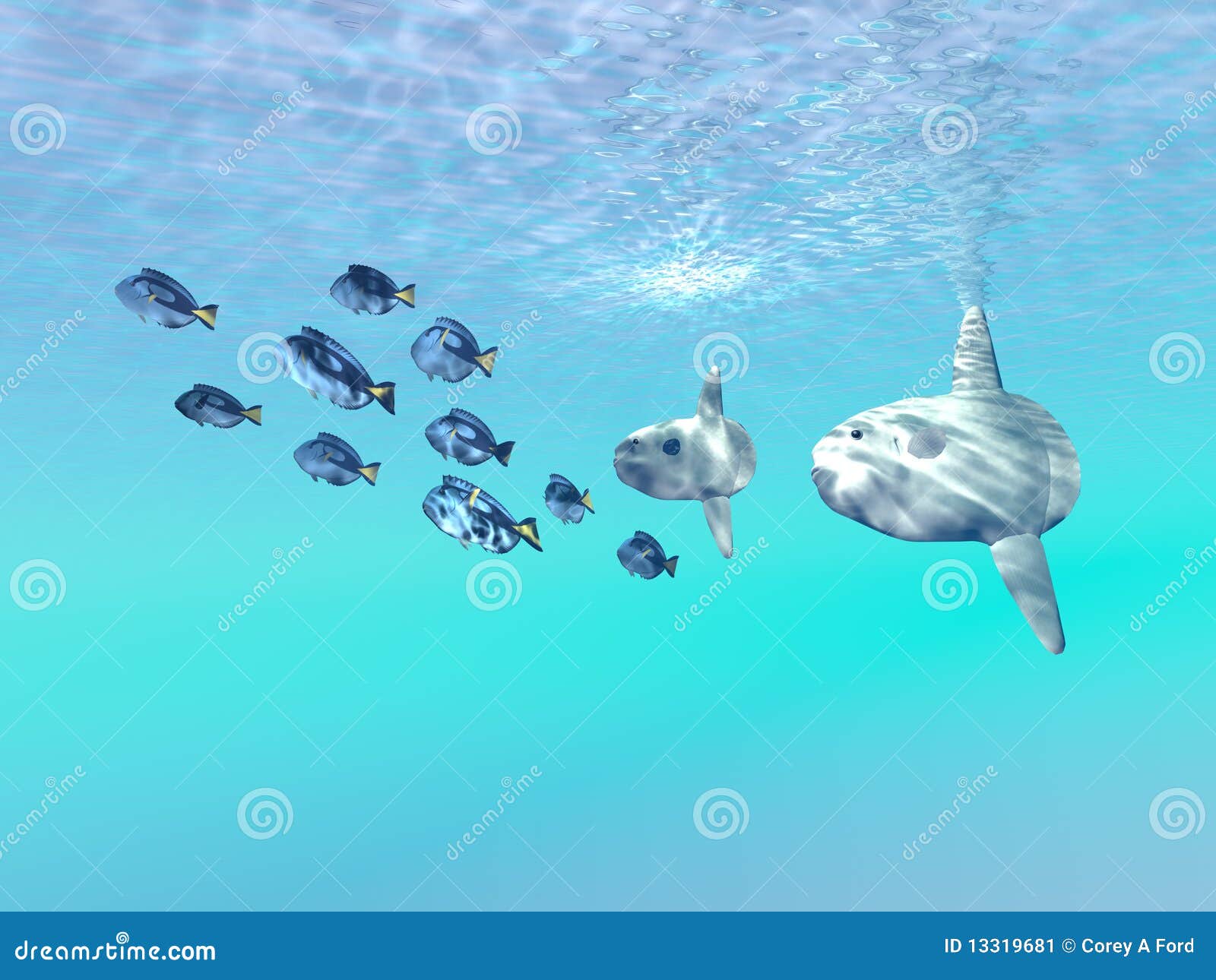 Sunfish Cartoons, Illustrations & Vector Stock Images - 809 Pictures to ...