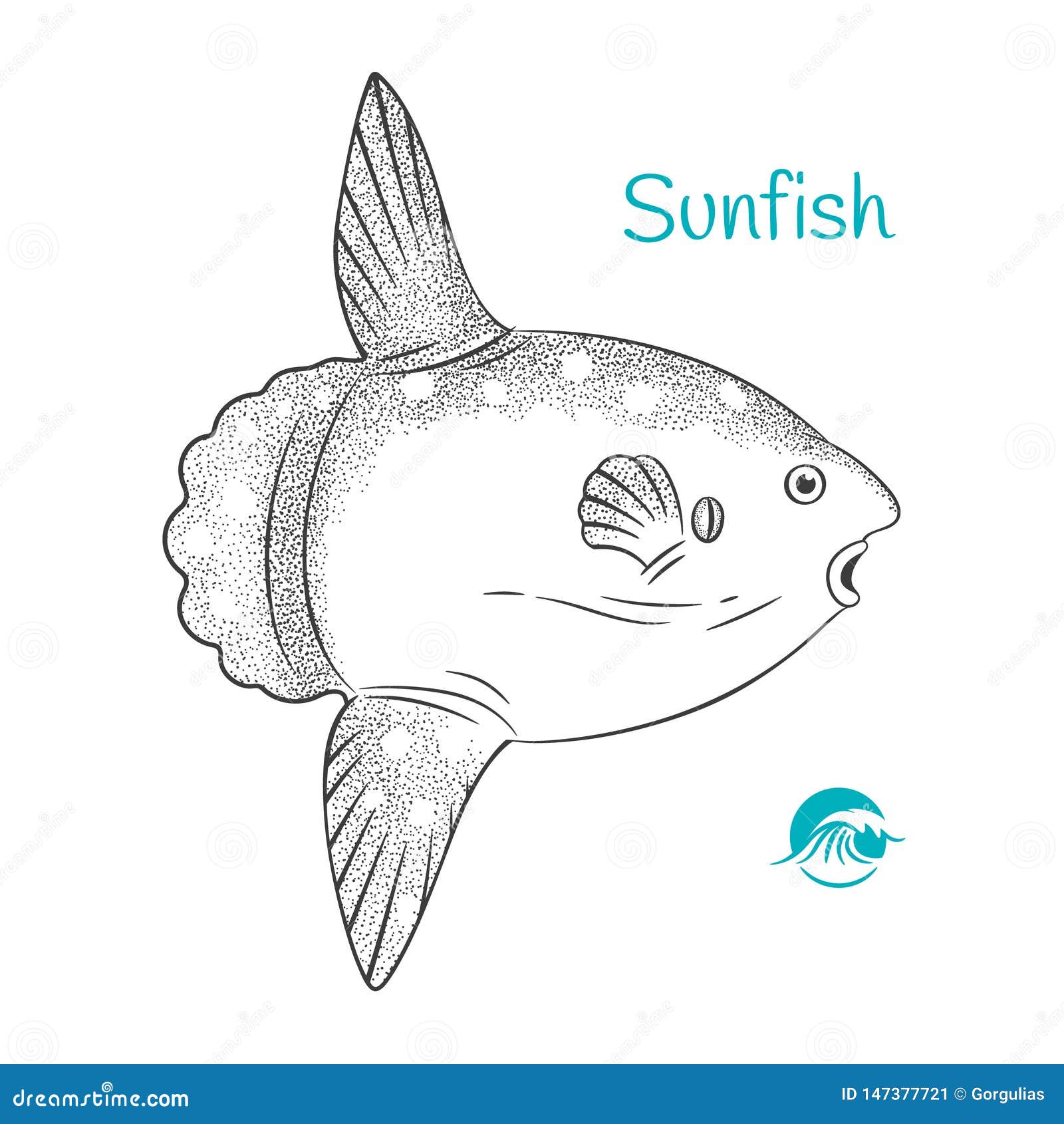 Ocean Sunfish Drawing