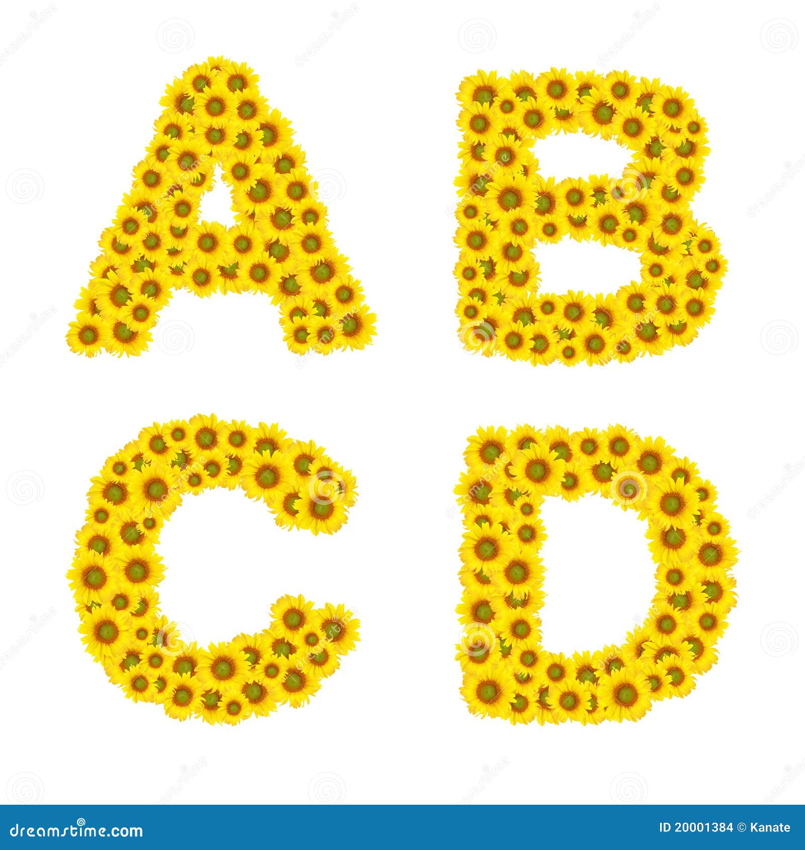 Sunflower alphabet stock photo. Image of alphabet, font - 20001384