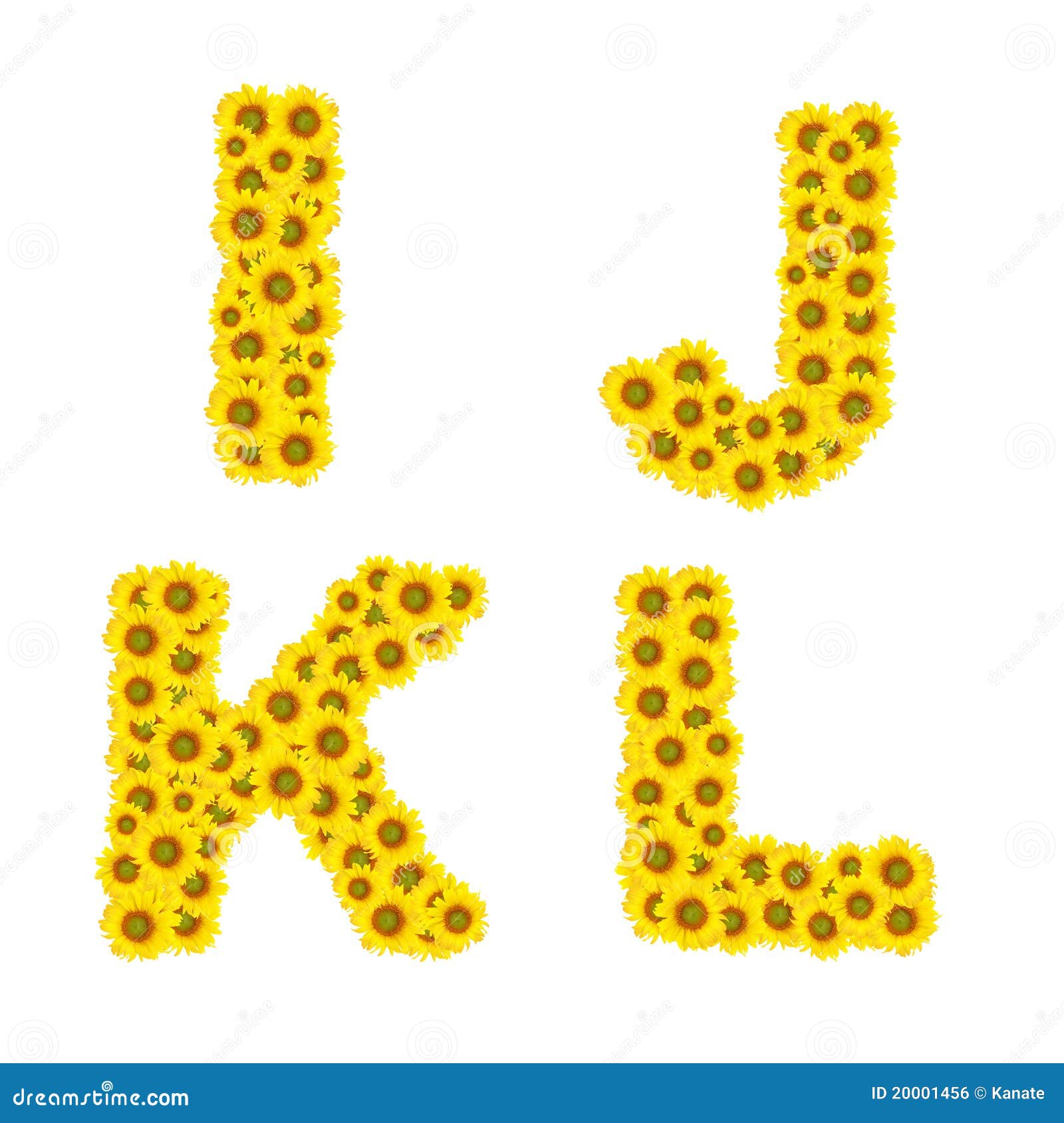 Sunflower alphabet stock photo. Image of garden, bright - 20001456