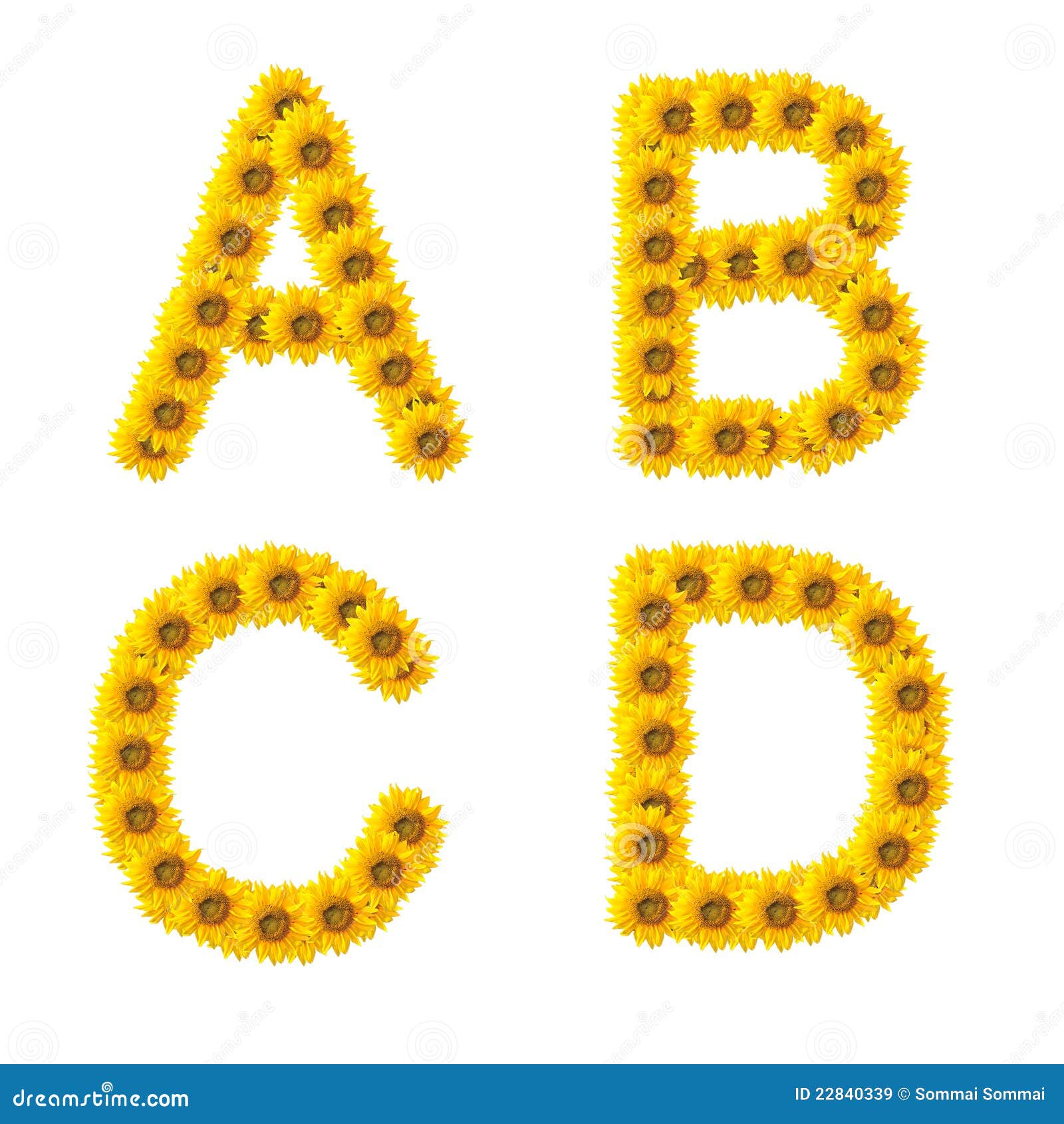 Sunflower alphabet stock image. Image of blossom, numeral - 22840339