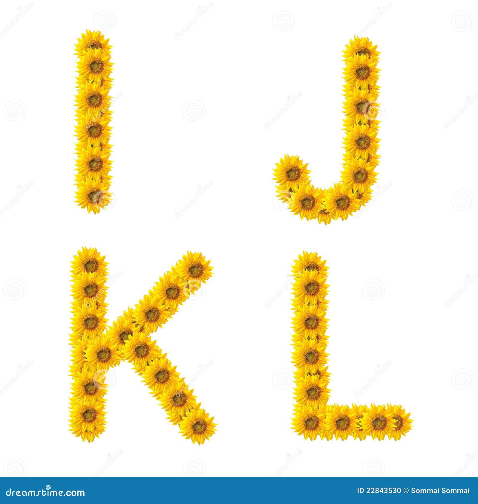 Sunflower alphabet stock photo. Image of garden, blossom - 22843530
