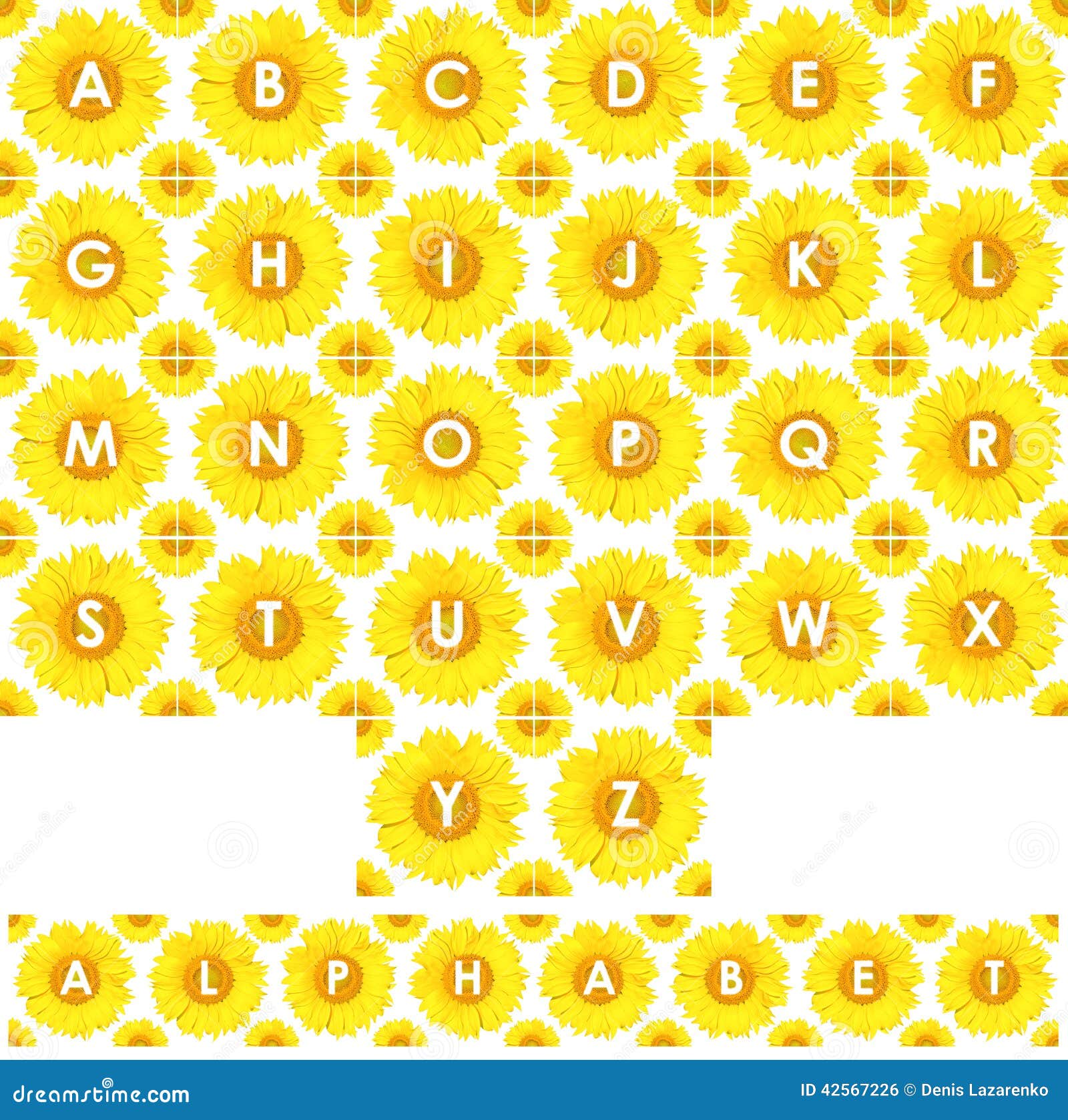 Sunflower alphabet stock photo. Image of flower, alphabet - 42567226