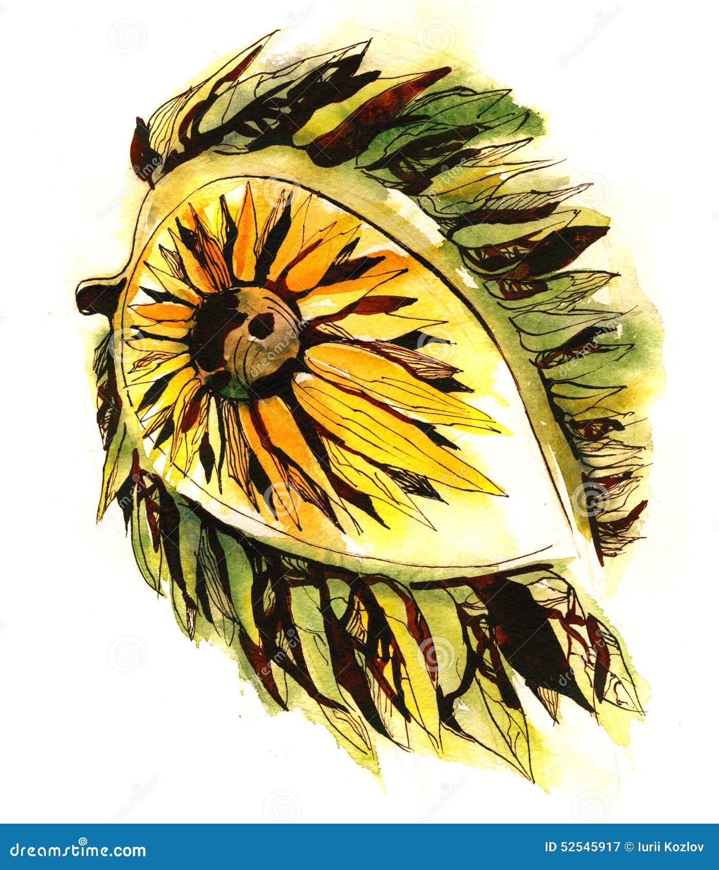 Sunflower stock illustration. Illustration of amazing - 52545917