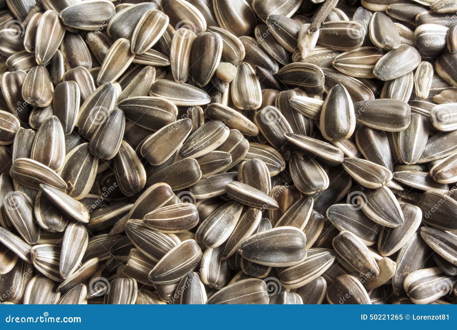 Sunflower as ingredient stock image. Image of agriculture - 50221265