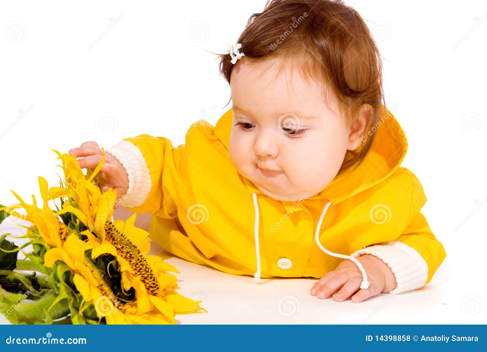 Sunflower baby stock photo. Image of happiness, portrait - 14398858