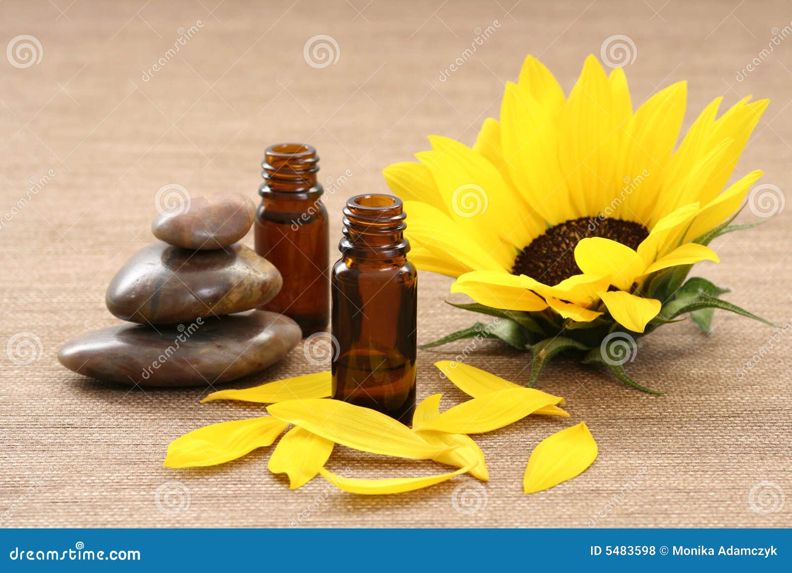 Sunflower beauty treatment stock photo. Image of cosmetics - 5483598