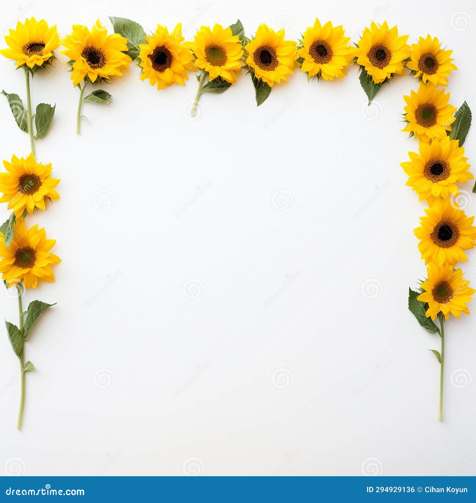 Sunflower Border Birthday Cards Stock Illustration - Illustration of ...