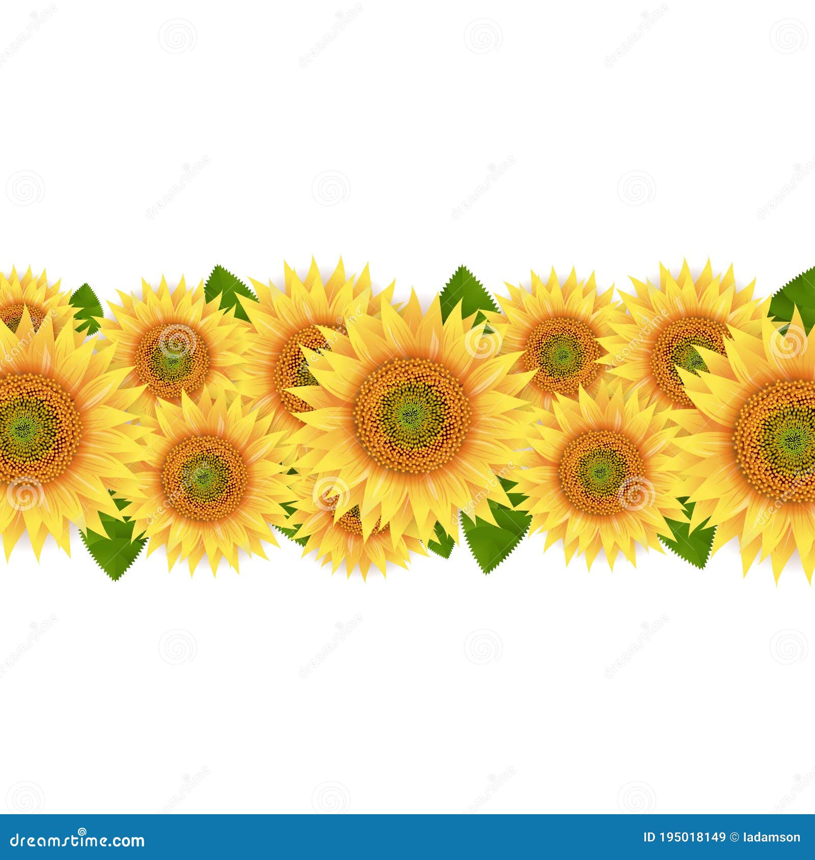 Sunflower Border Outline Isolated On White Background. Vector ...