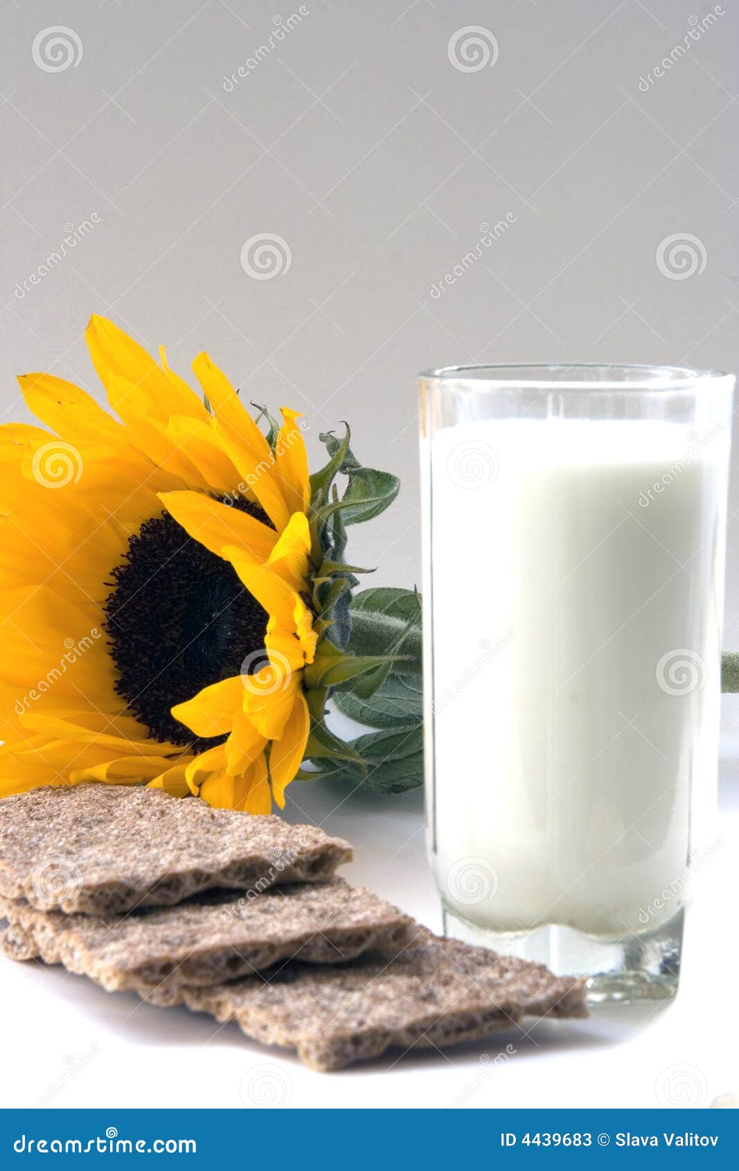 Sunflower Bran Flakes stock image. Image of craft, organic - 4439683