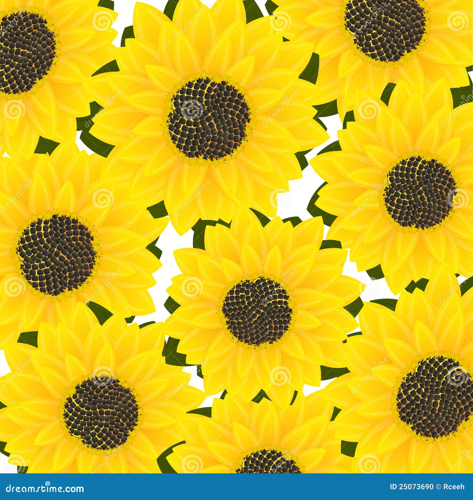 Sunflower card stock vector. Illustration of sunflower - 25073690