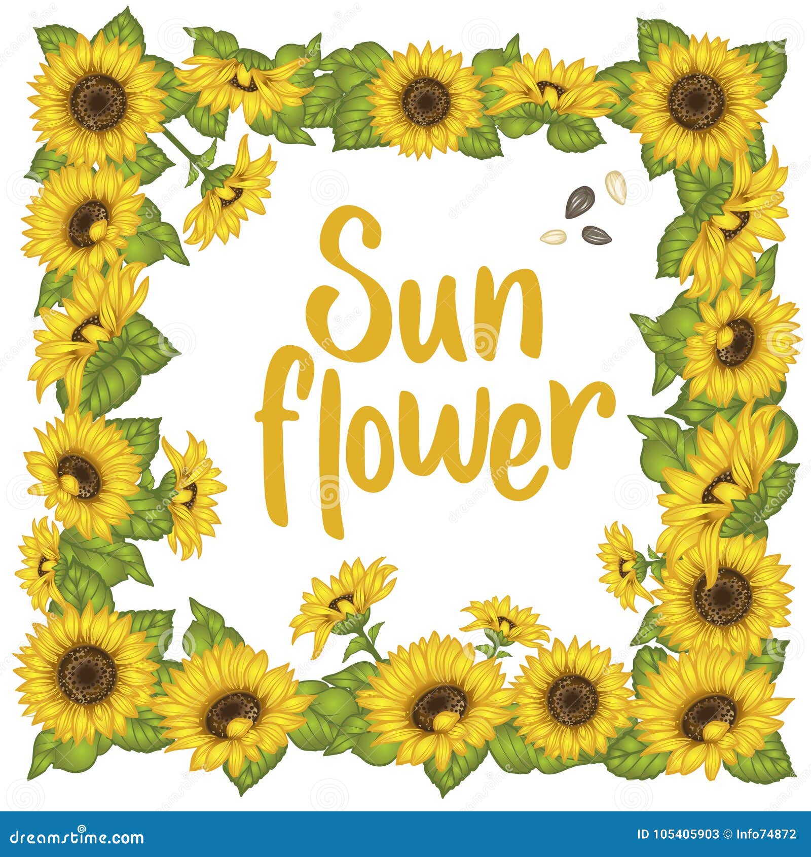 Sunflower. Sunflower Card Design Stock Illustration - Illustration of ...