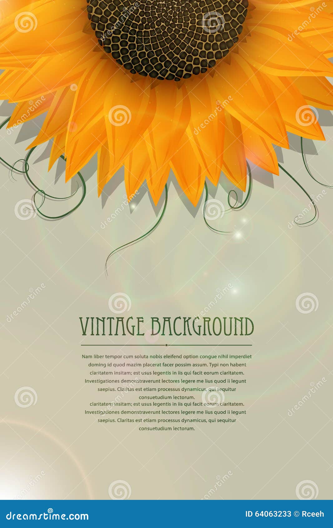 Sunflower card stock vector. Illustration of backdrop - 64063233