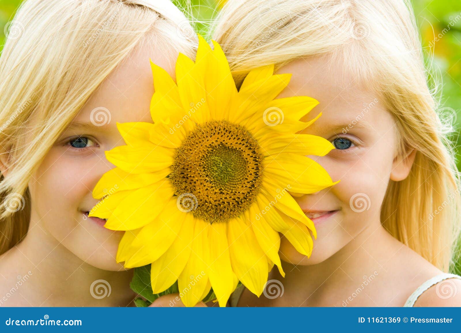 Sunflower children stock image. Image of natural, child - 11621369
