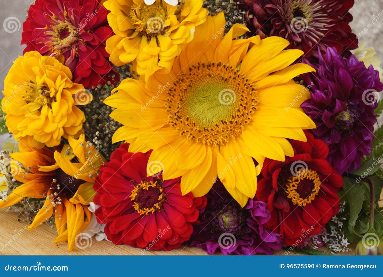 Sunflower and Colorful Flowers Stock Photo - Image of blooming ...