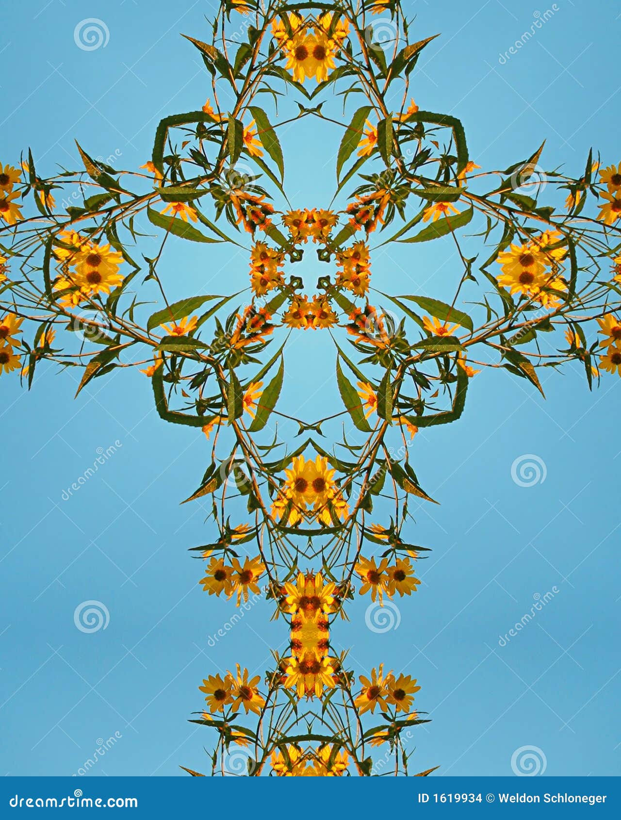 Sunflower cross stock photo. Image of suffer, crux, sunflower - 1619934