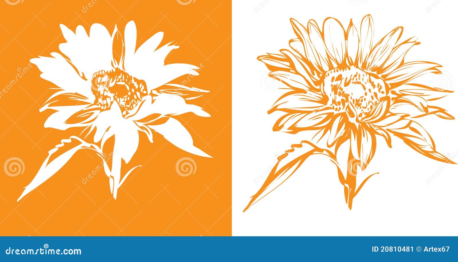 Sunflower design stock vector. Illustration of decorative - 20810481