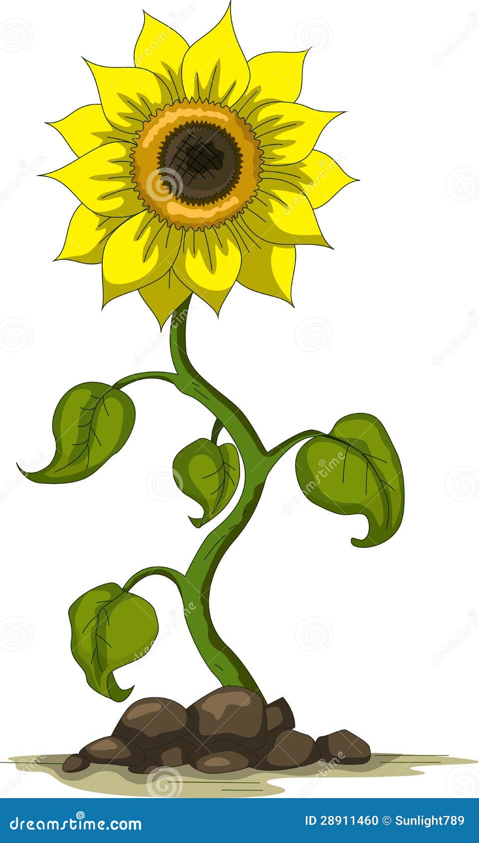 Sunflower design stock illustration. Illustration of flores - 28911460