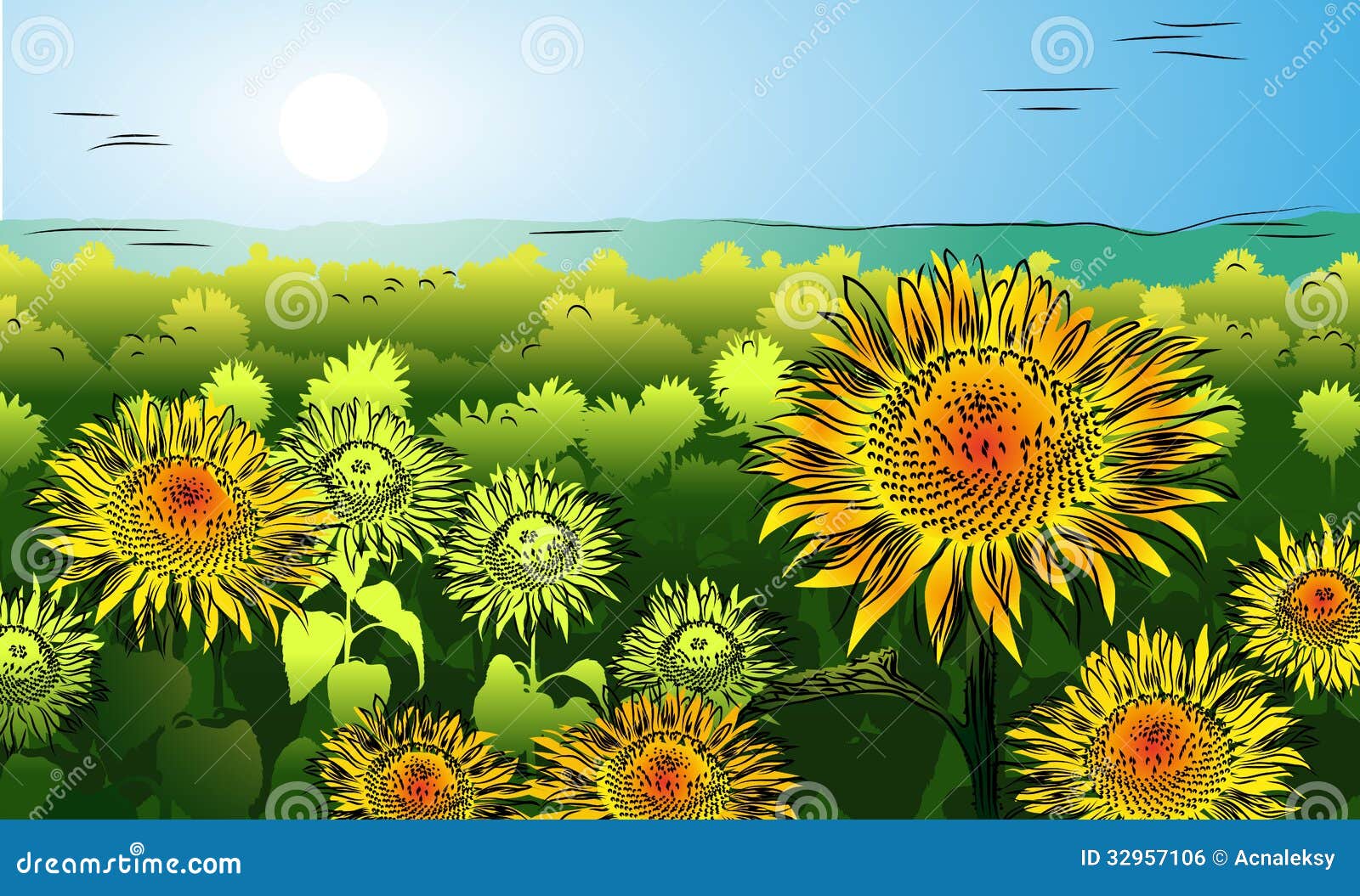 Sunflower on the Field with Blue Sky Stock Vector - Illustration of ...