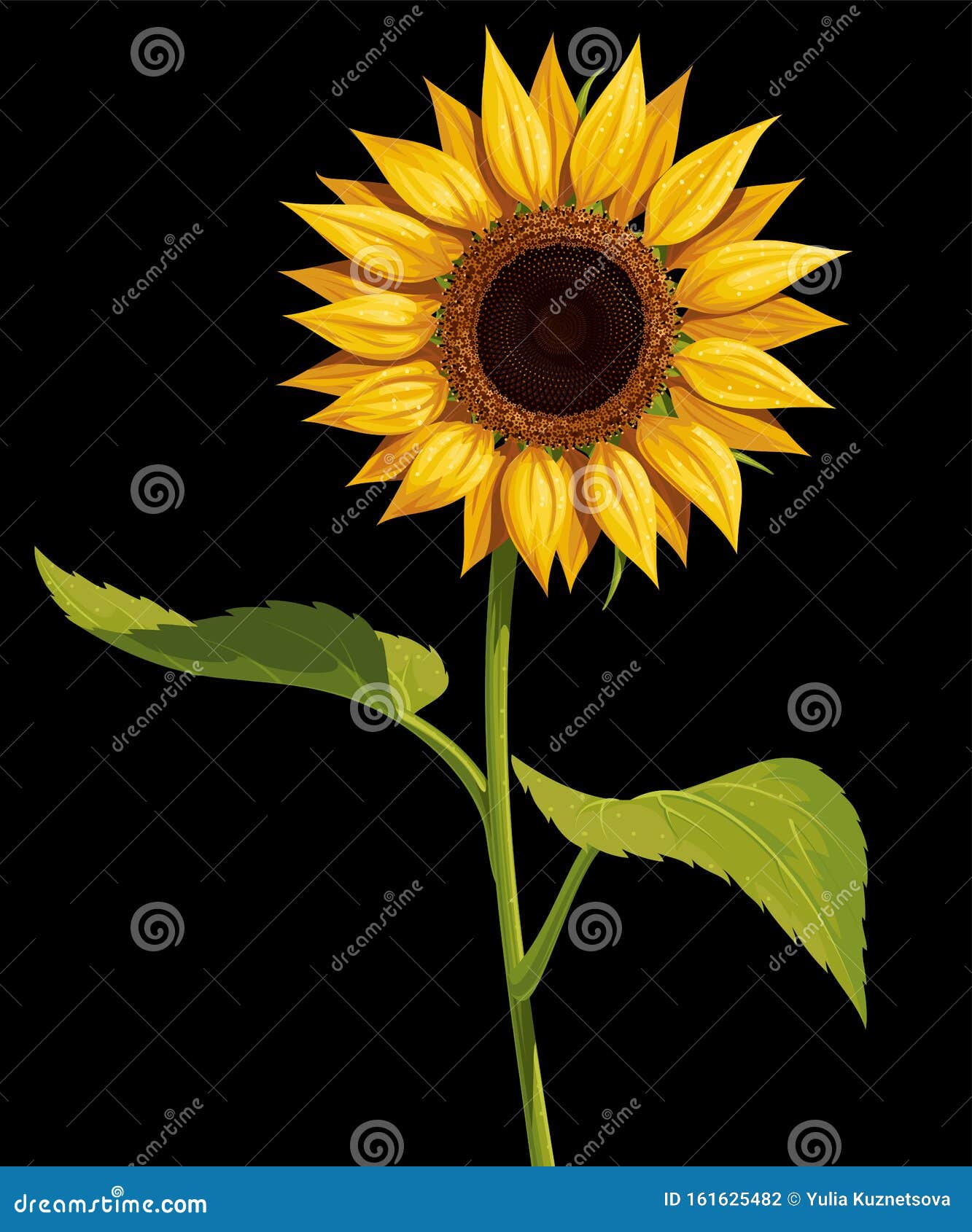 Sunflower Flower with Stem and Leaves, Vector Isolated Drawing Stock ...