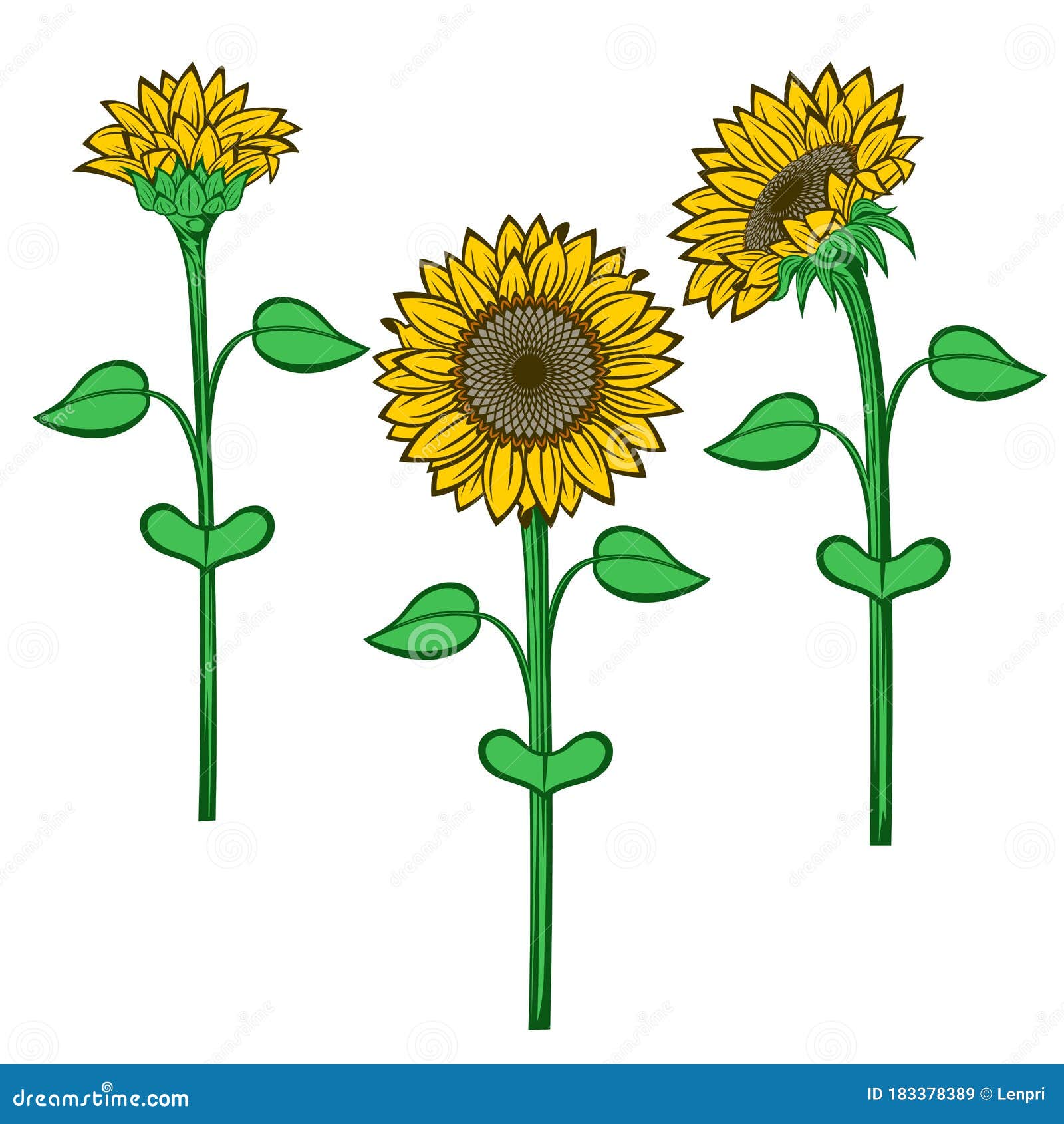 Small sunflower drawing - fieldstorm