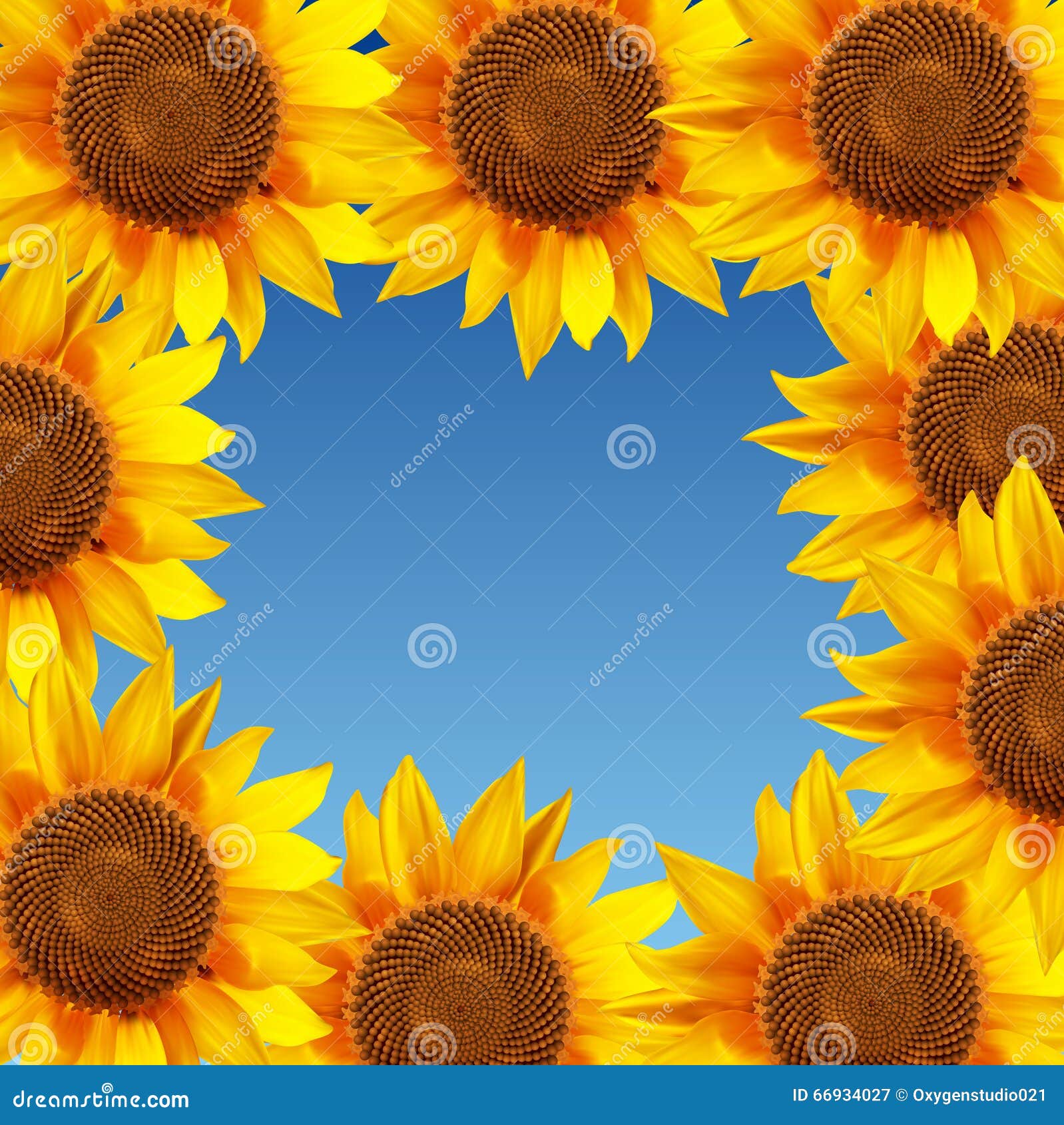 Sunflower Circle Monogram, Sunflower Frame, Sunflower Floral Frame ...