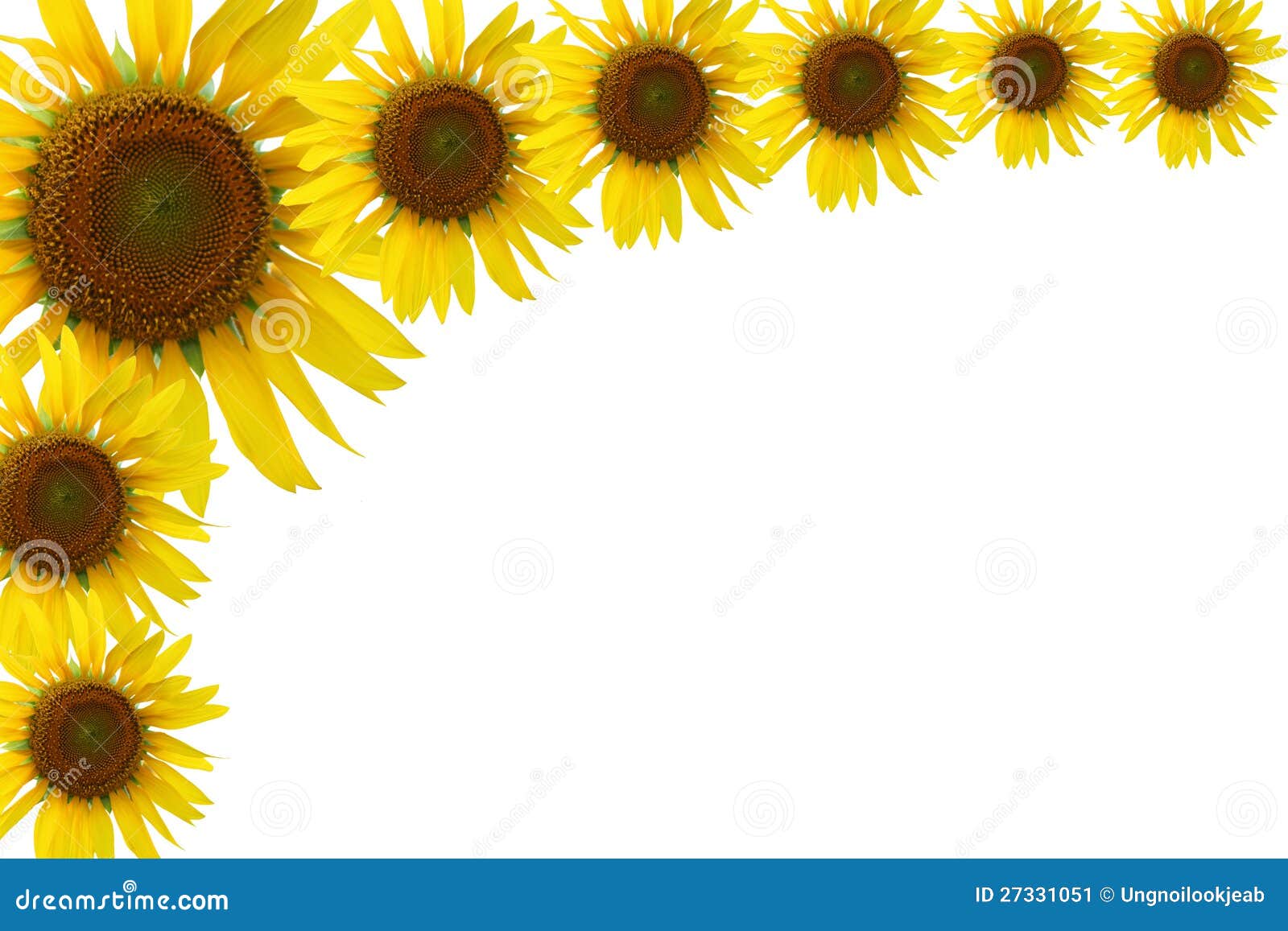 Sunflower Frame Stock Image - Image: 27331051